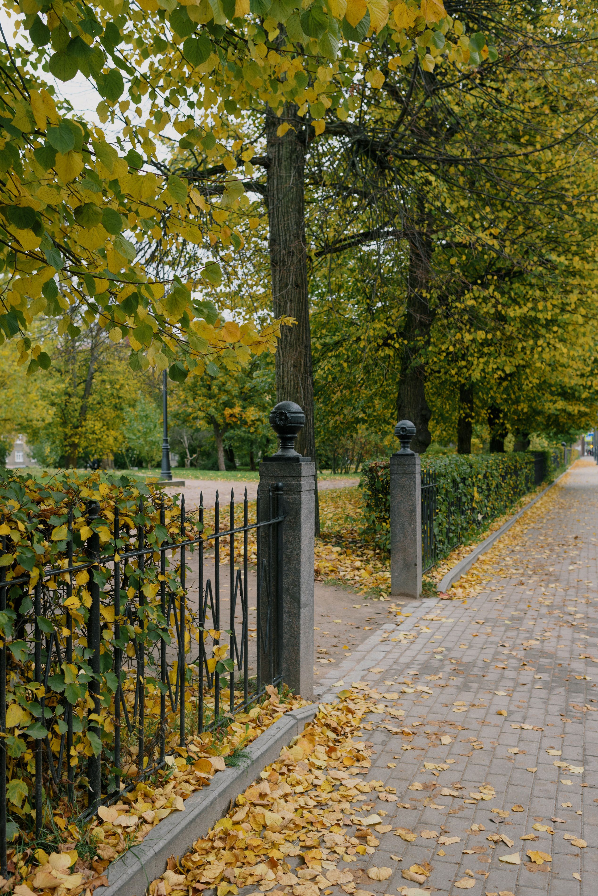 City Park Path Photos, Download The BEST Free City Park Path Stock ...
