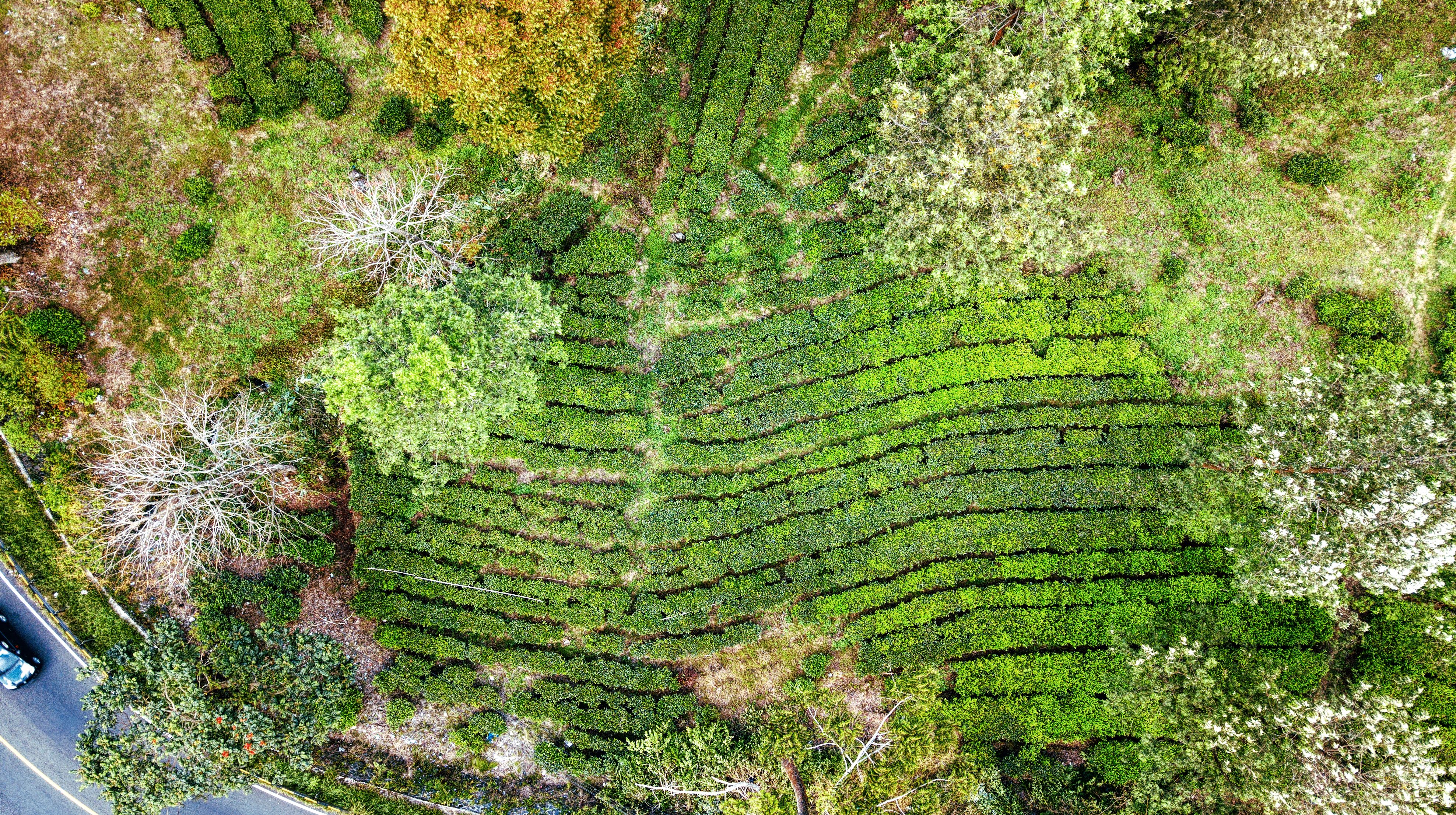 Contour Farming With Plants Photos, Download The BEST Free Contour ...