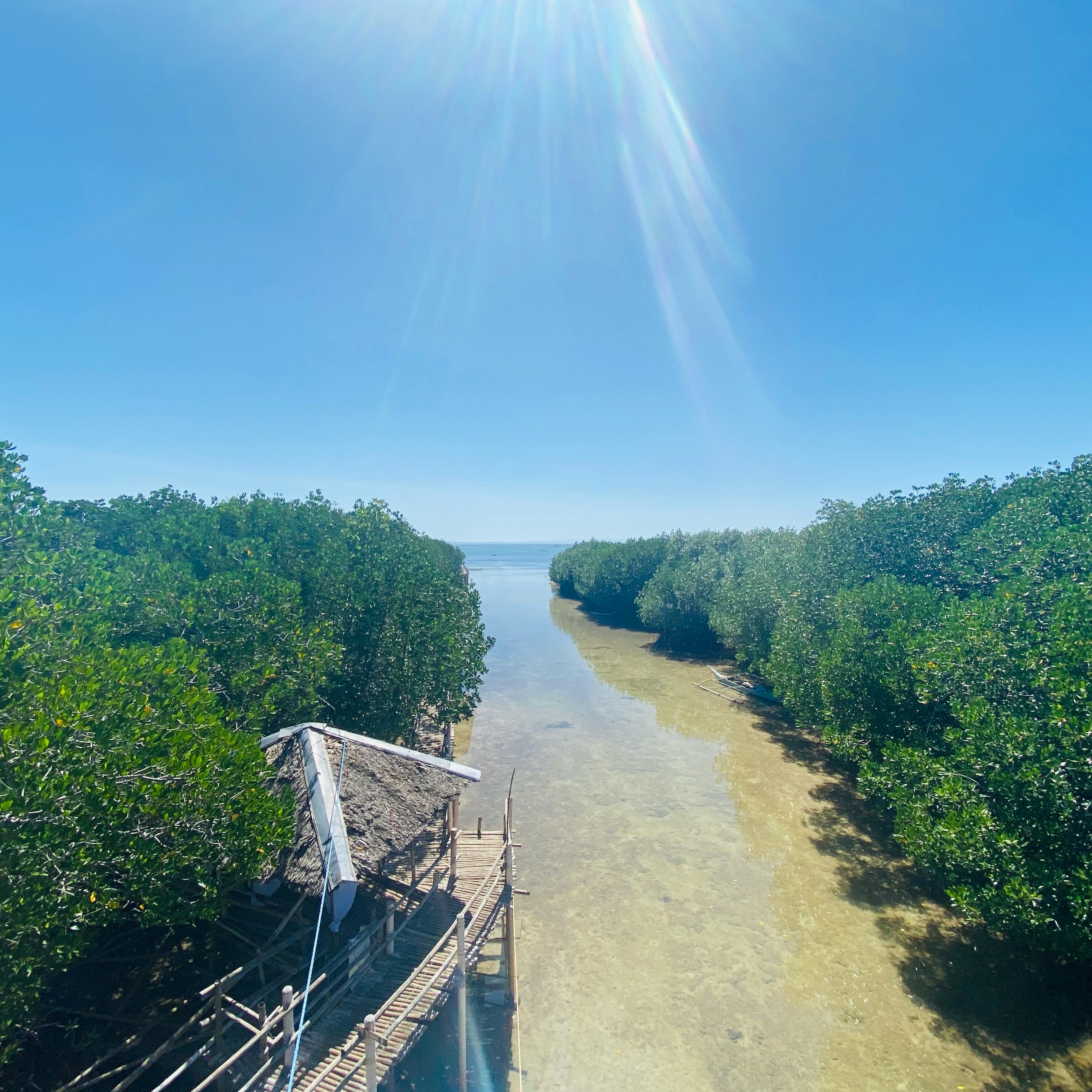 Free stock photo from Onai · Pexels