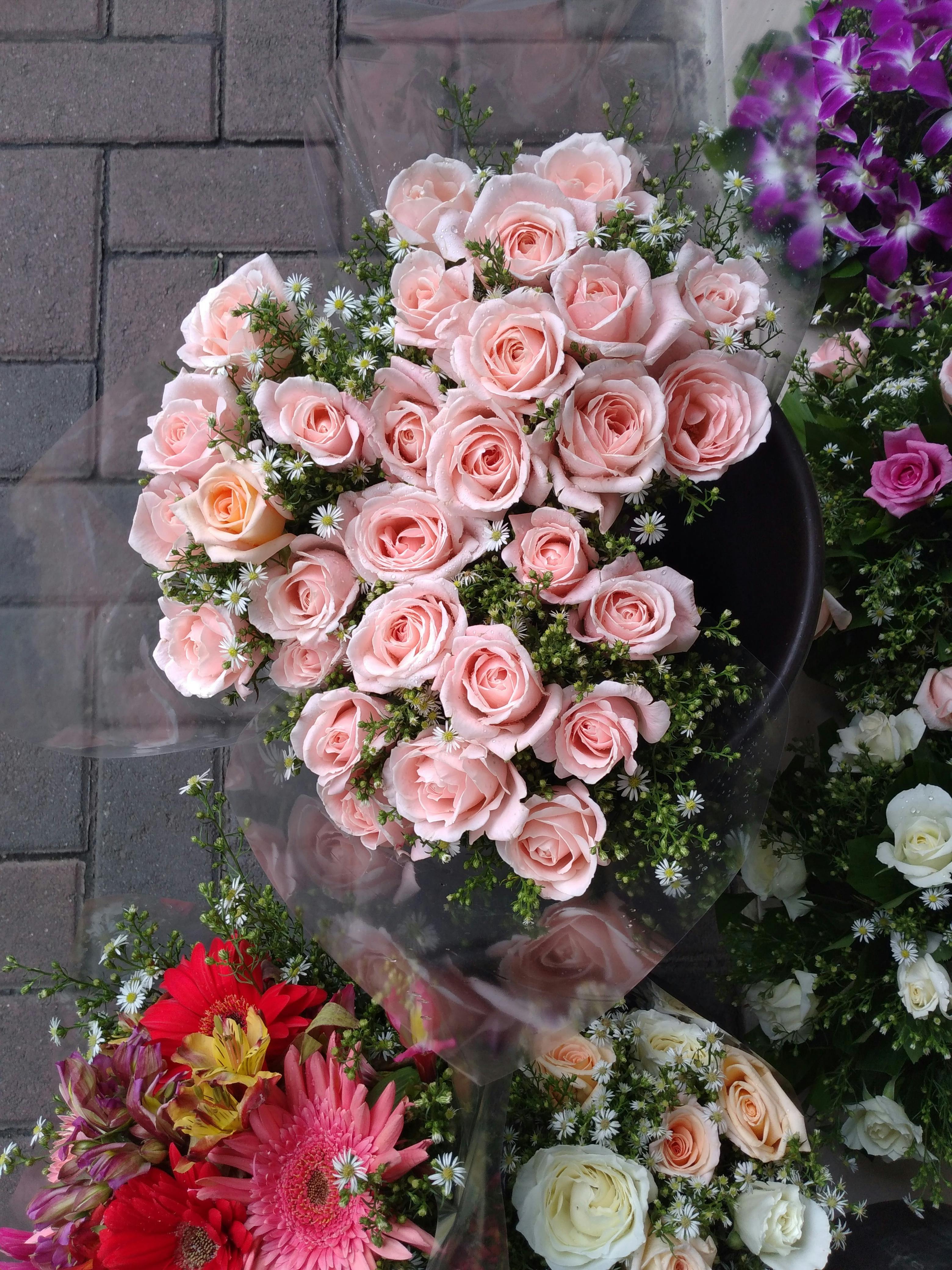 Flowers: Lankan Flora 7 Photos & Videos Collected by Raweena Perera