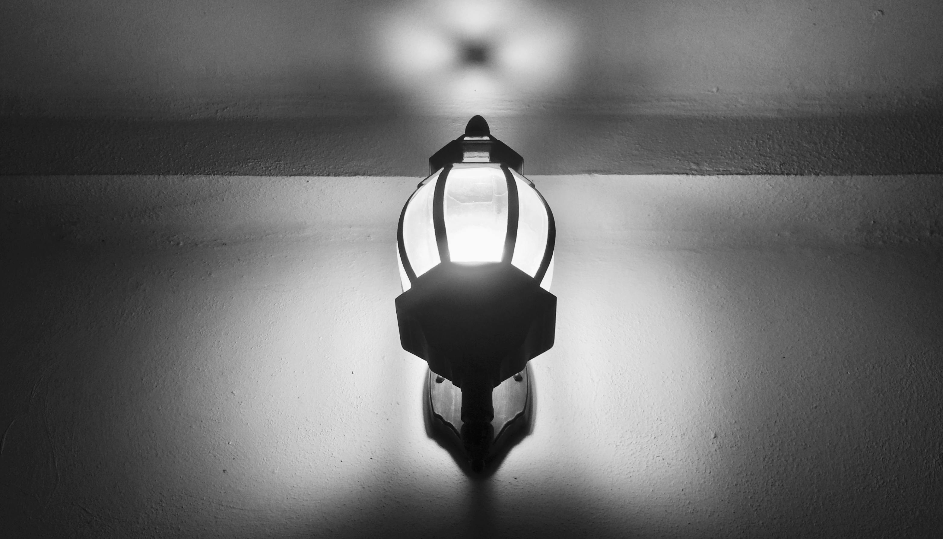 Free stock photo of art, backlight, backlit