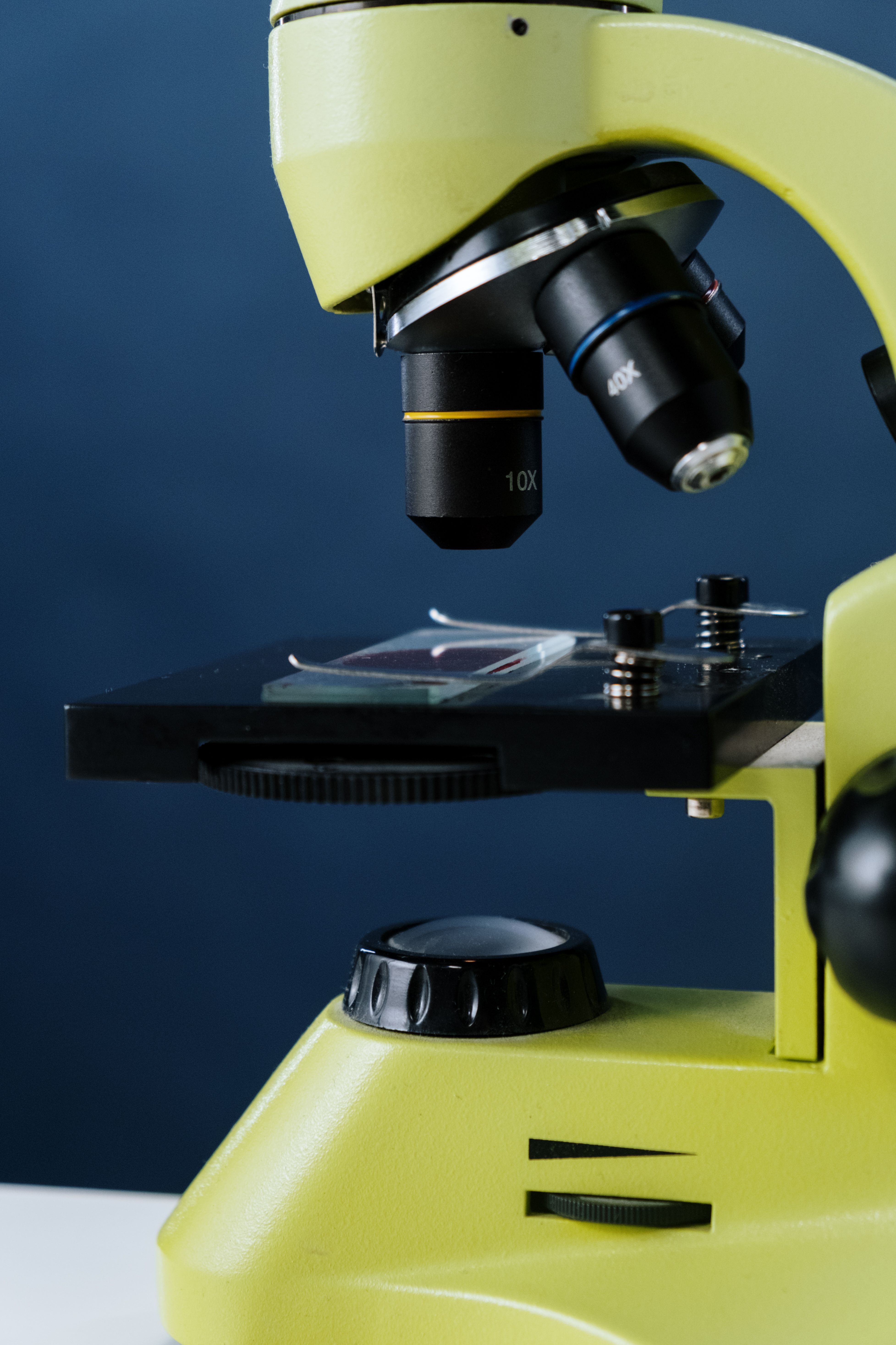 Lab Slides Microscope Photos, Download The BEST Free Lab Slides ...