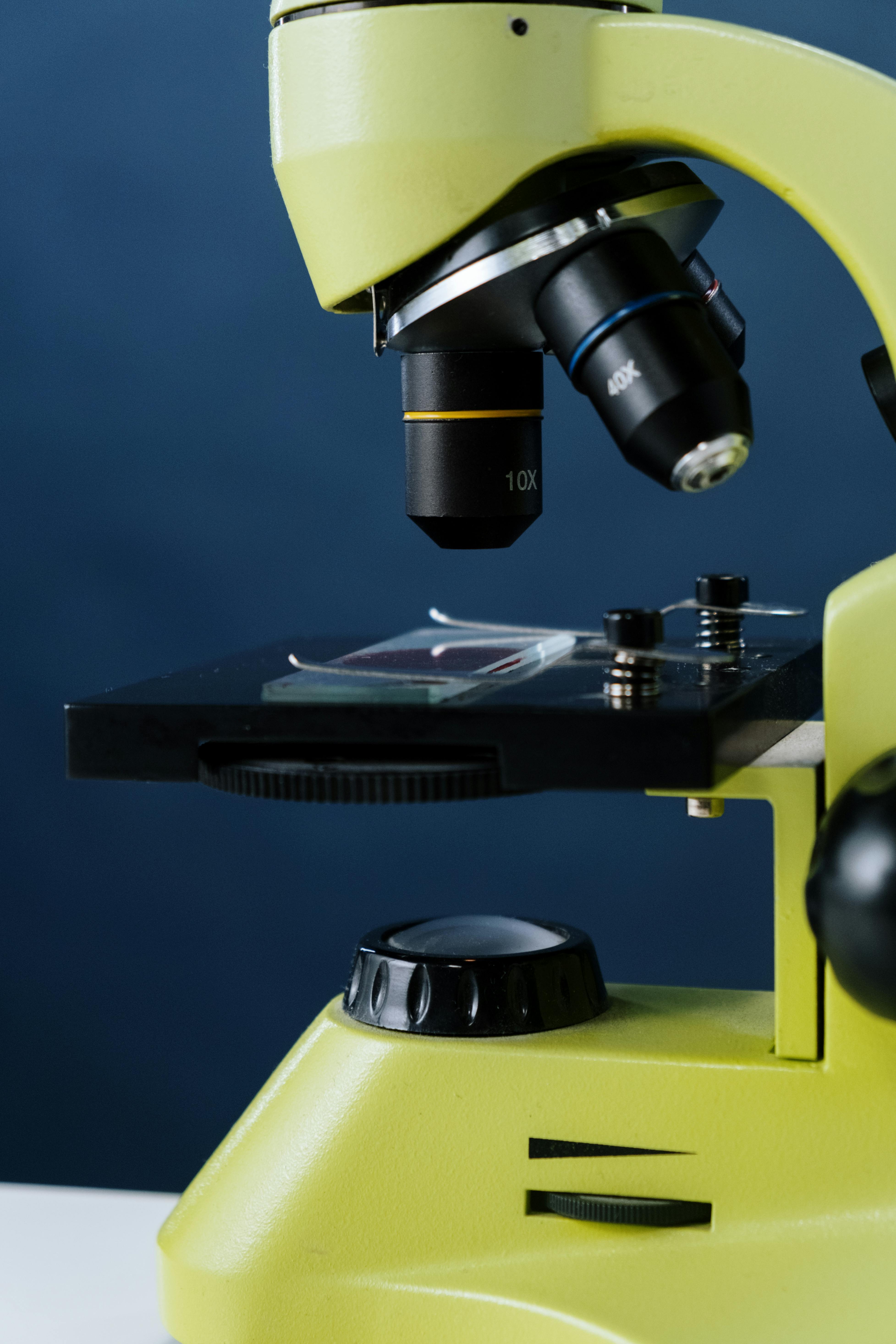 Particles seen under a Microscope · Free Stock Photo