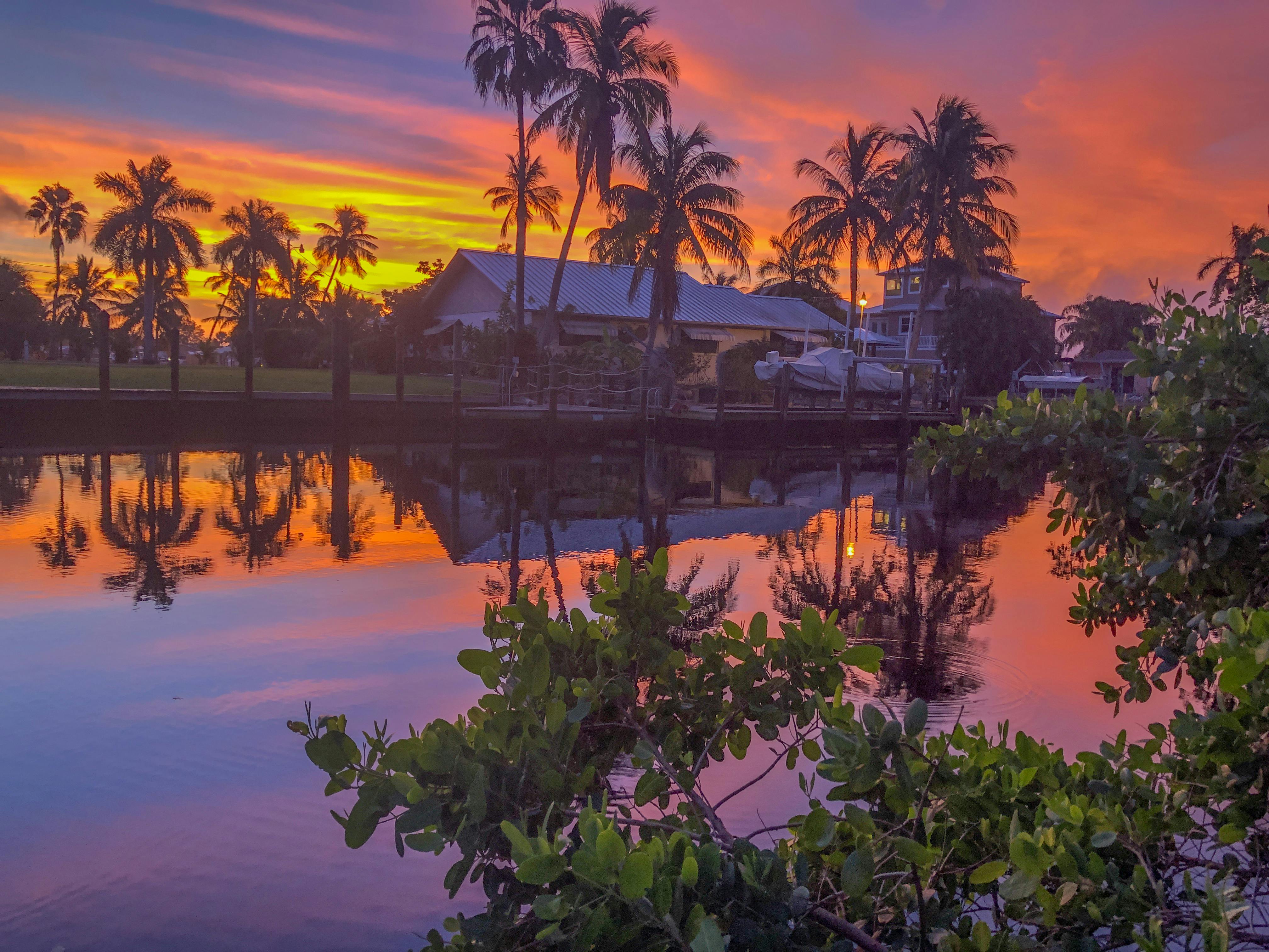 Palm Trees Reflecting on River at Dawn · Free Stock Photo