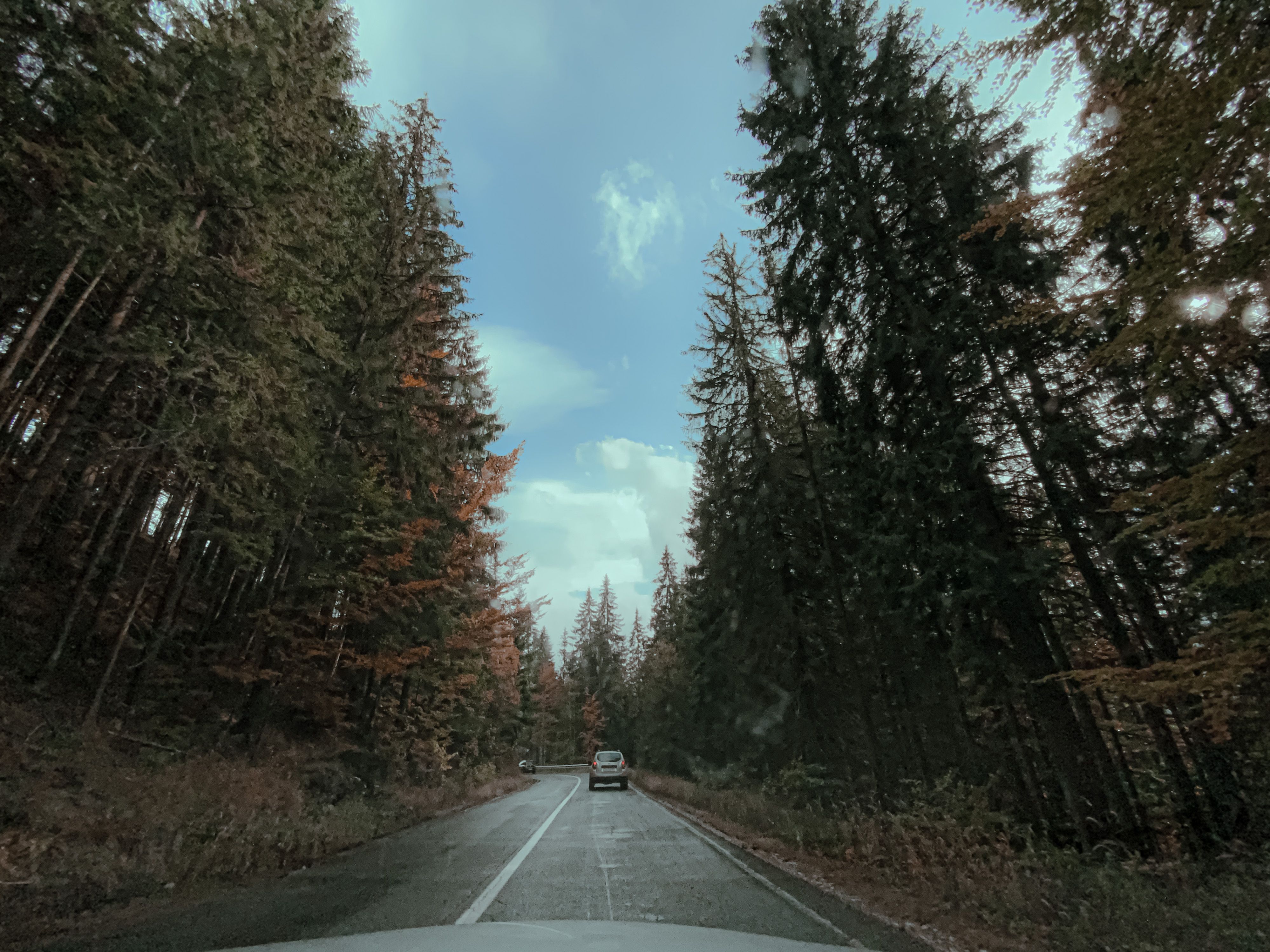 Car driving on asphalt road among mountains covered with lush forests ...