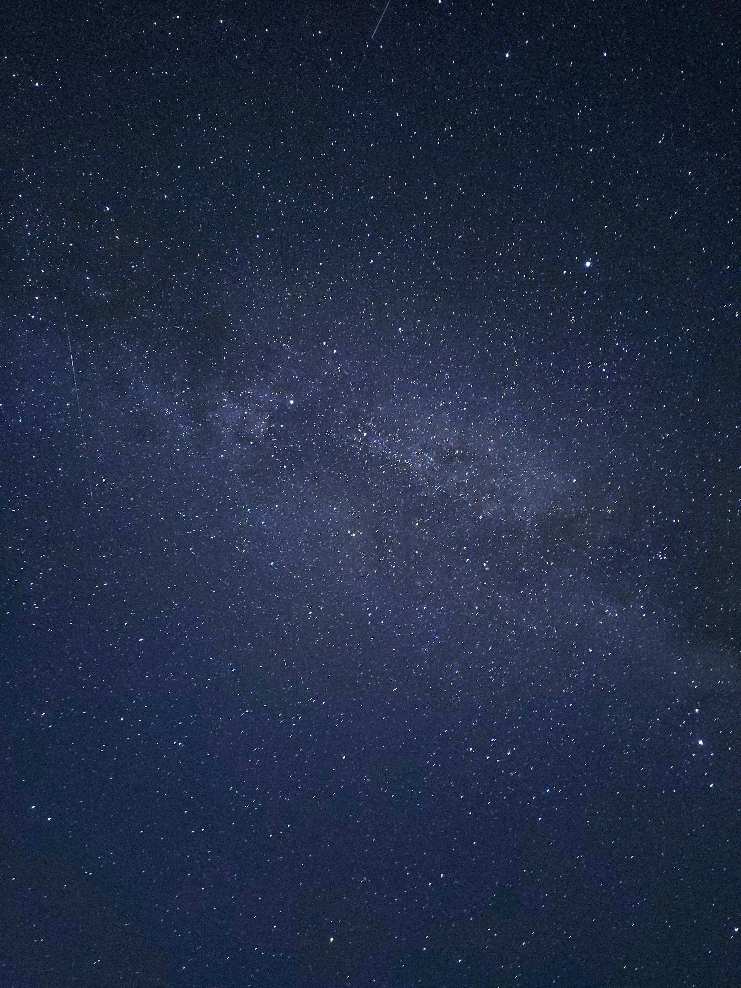 Stars Across the Night Sky · Free Stock Photo