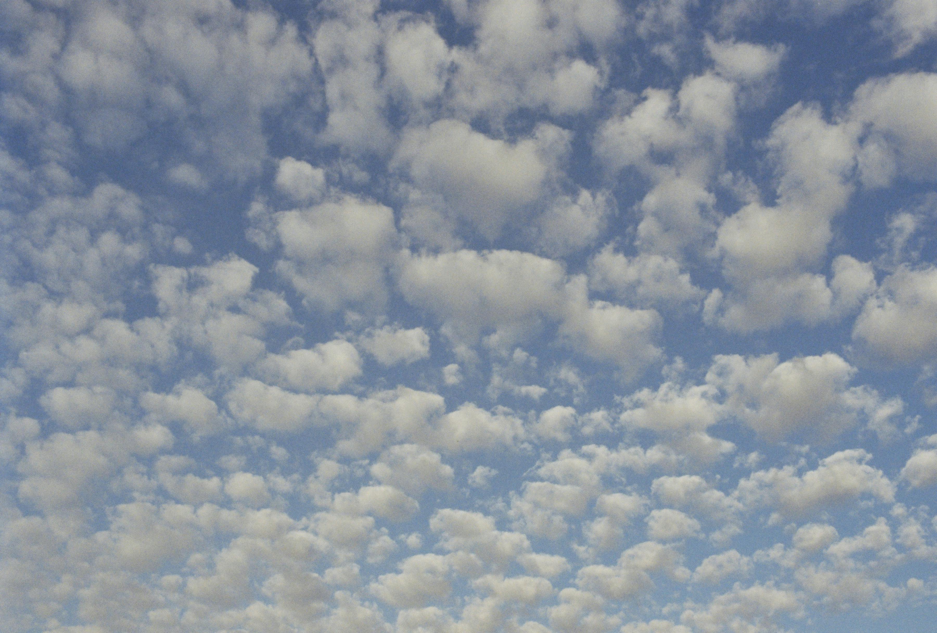 Photo of a Woman Sleeping Near Fluffy Clouds · Free Stock Photo