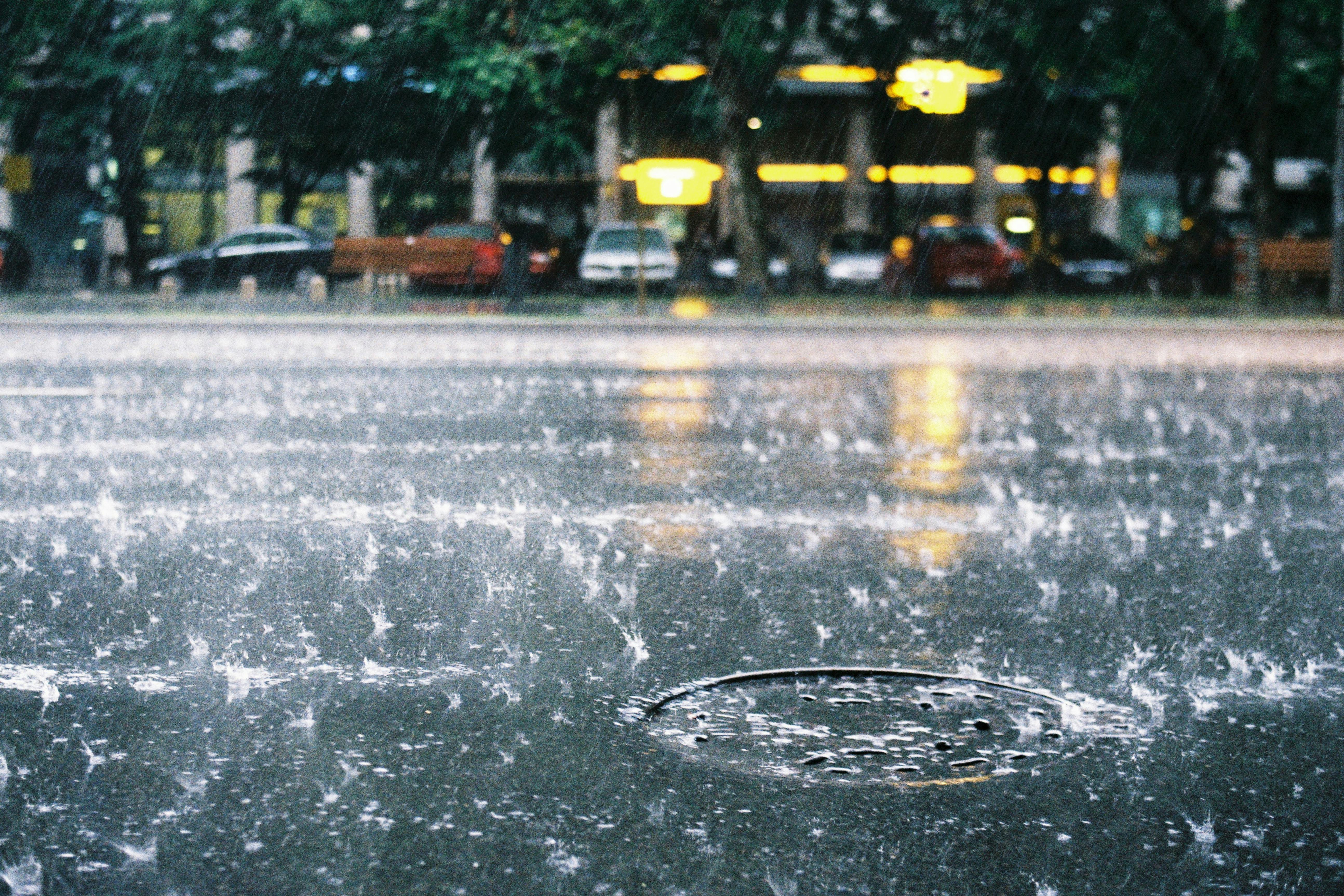 1000+ Beautiful Heavy Rain Photos · Pexels · Free Stock Photos