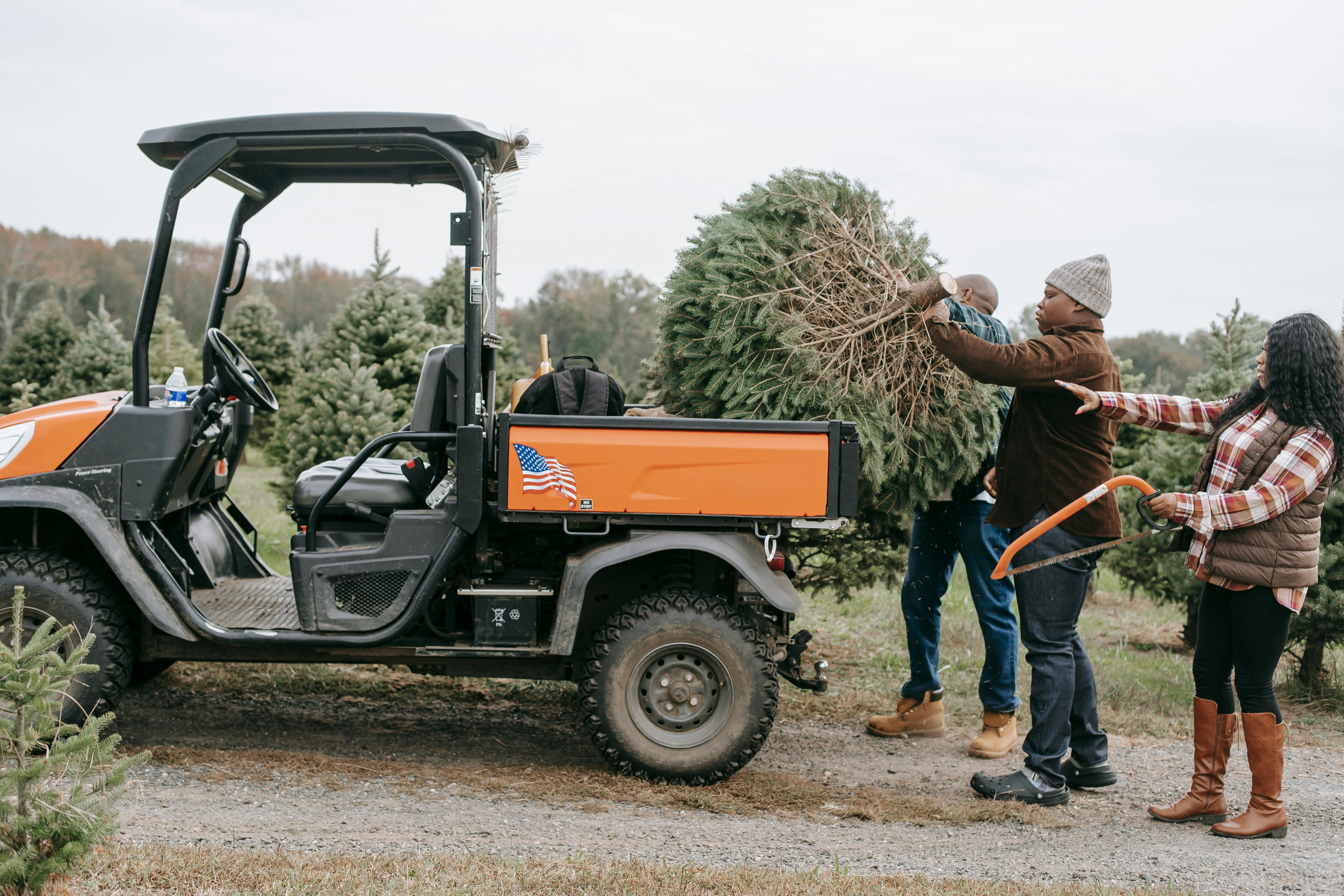 Black family loading tree in trunk · Free Stock Photo
