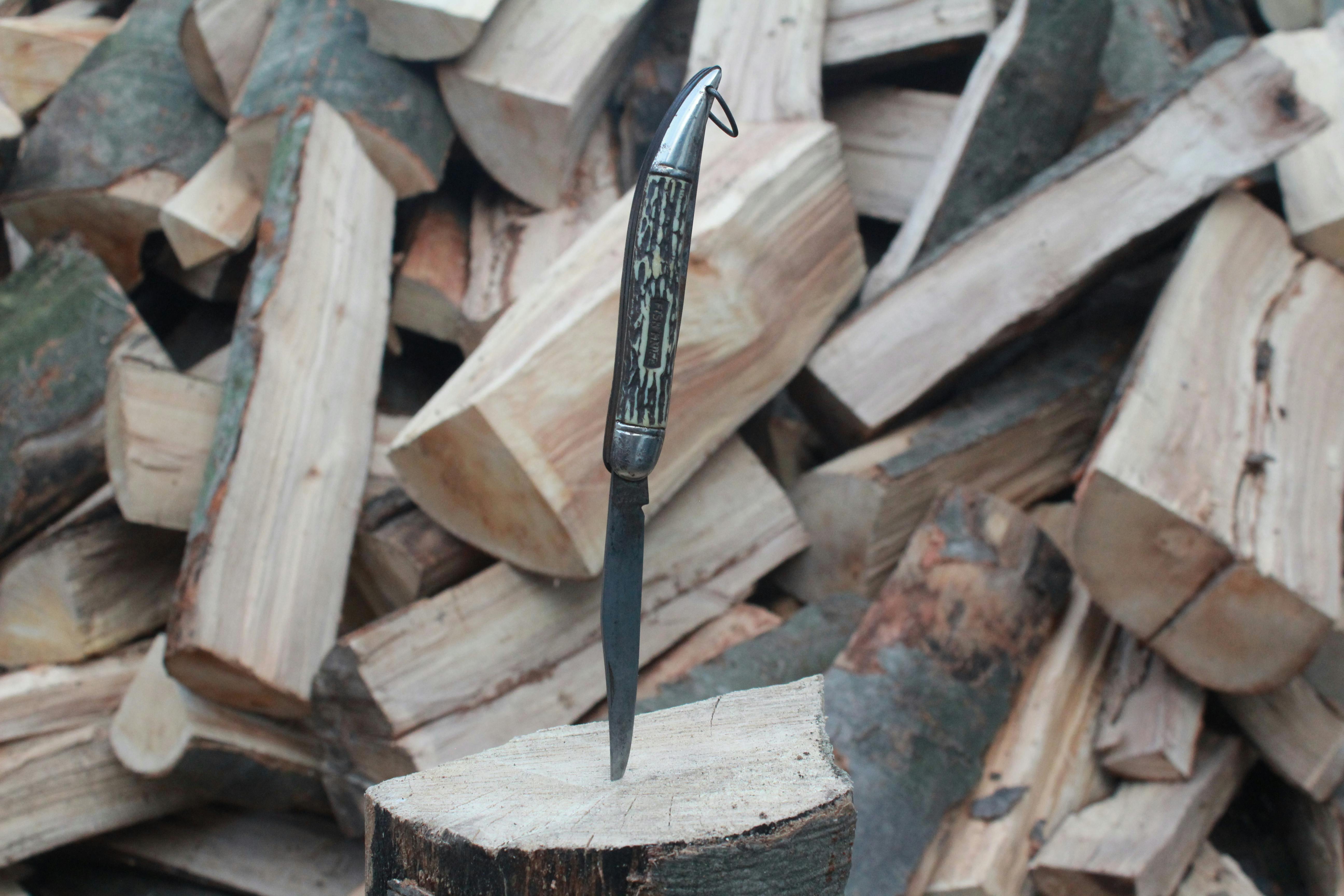 Knife on a Tree Stump · Free Stock Photo