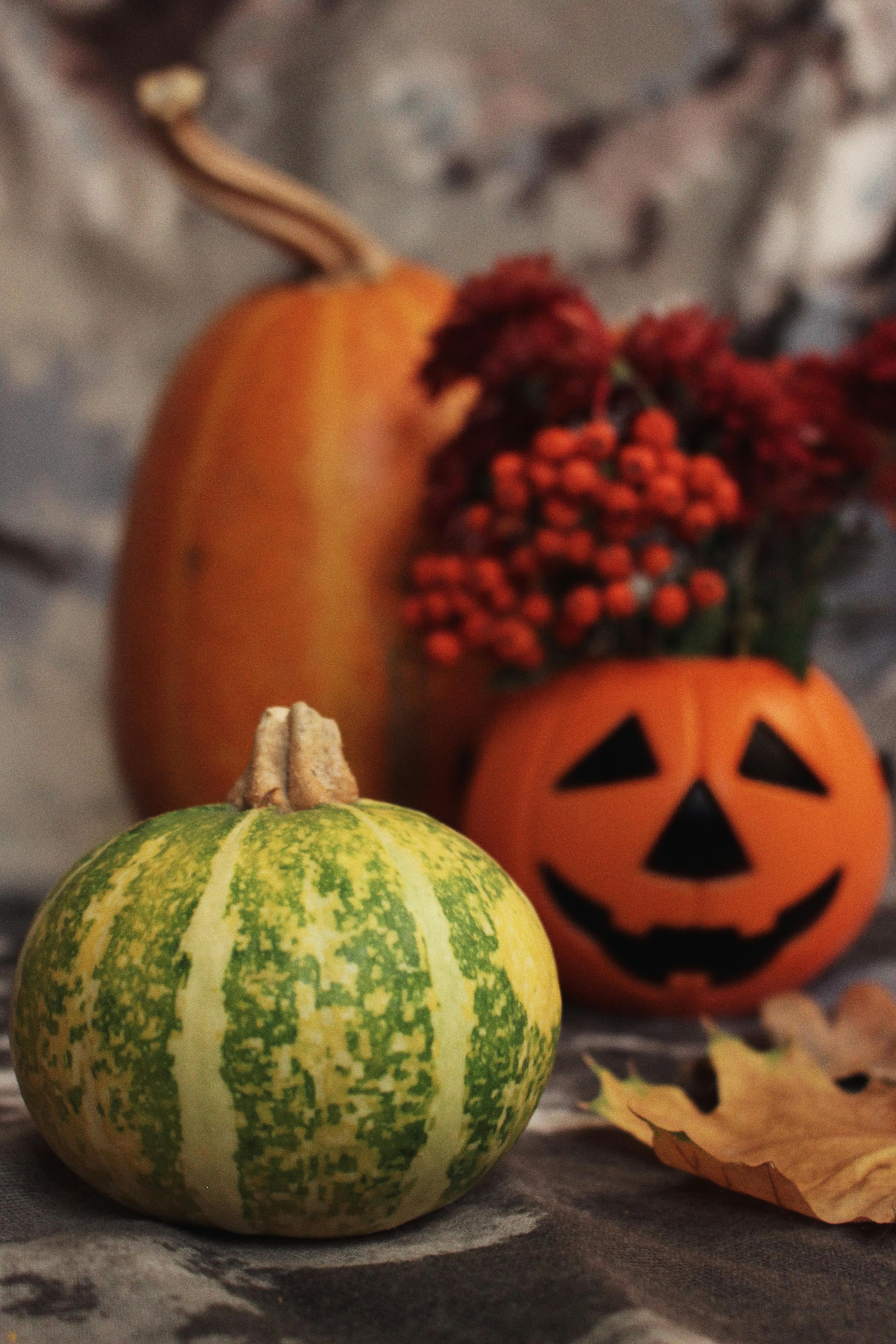 A Squash beside Halloween Decorations · Free Stock Photo