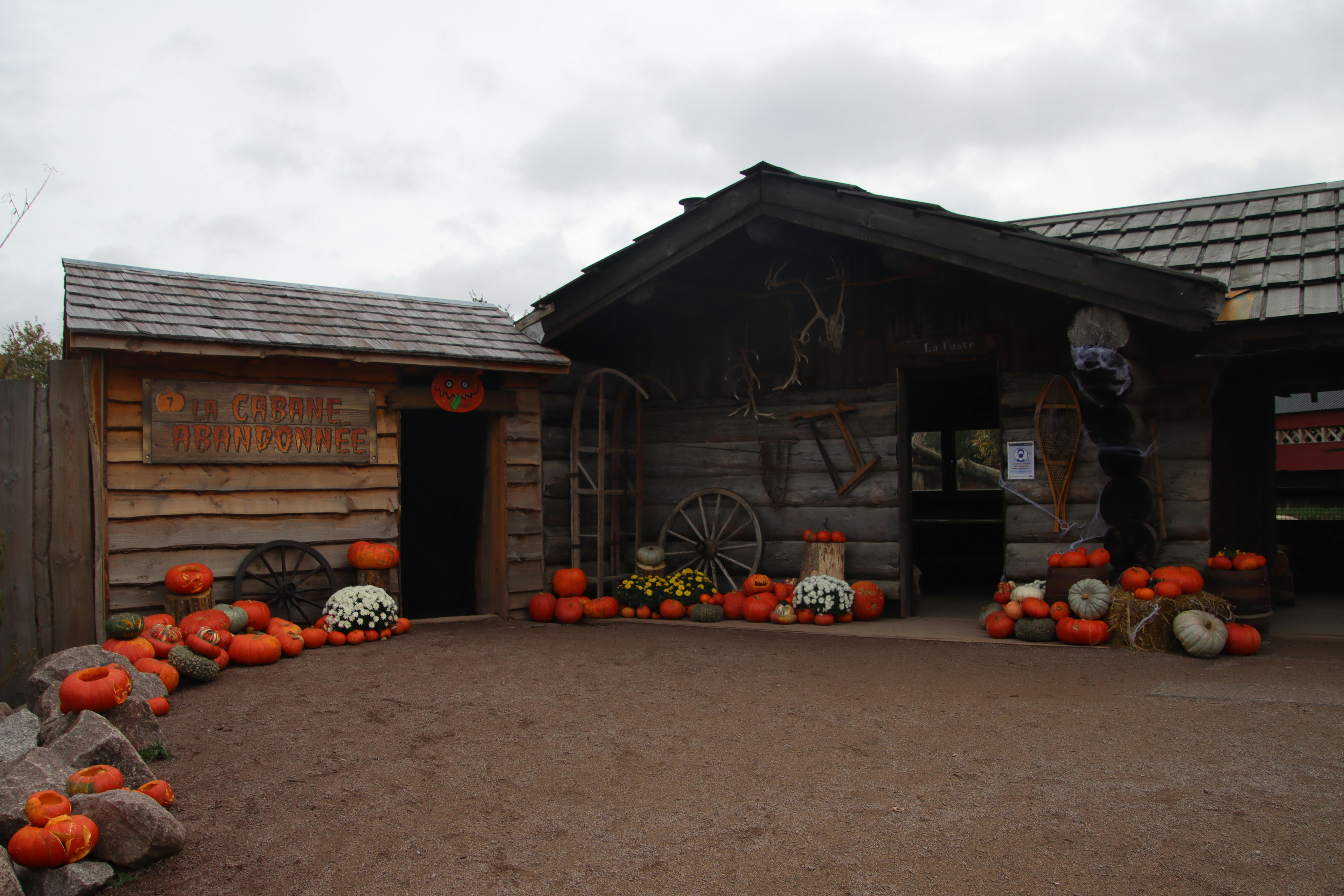 Thanksgiving Farm Photos, Download The BEST Free Thanksgiving Farm ...