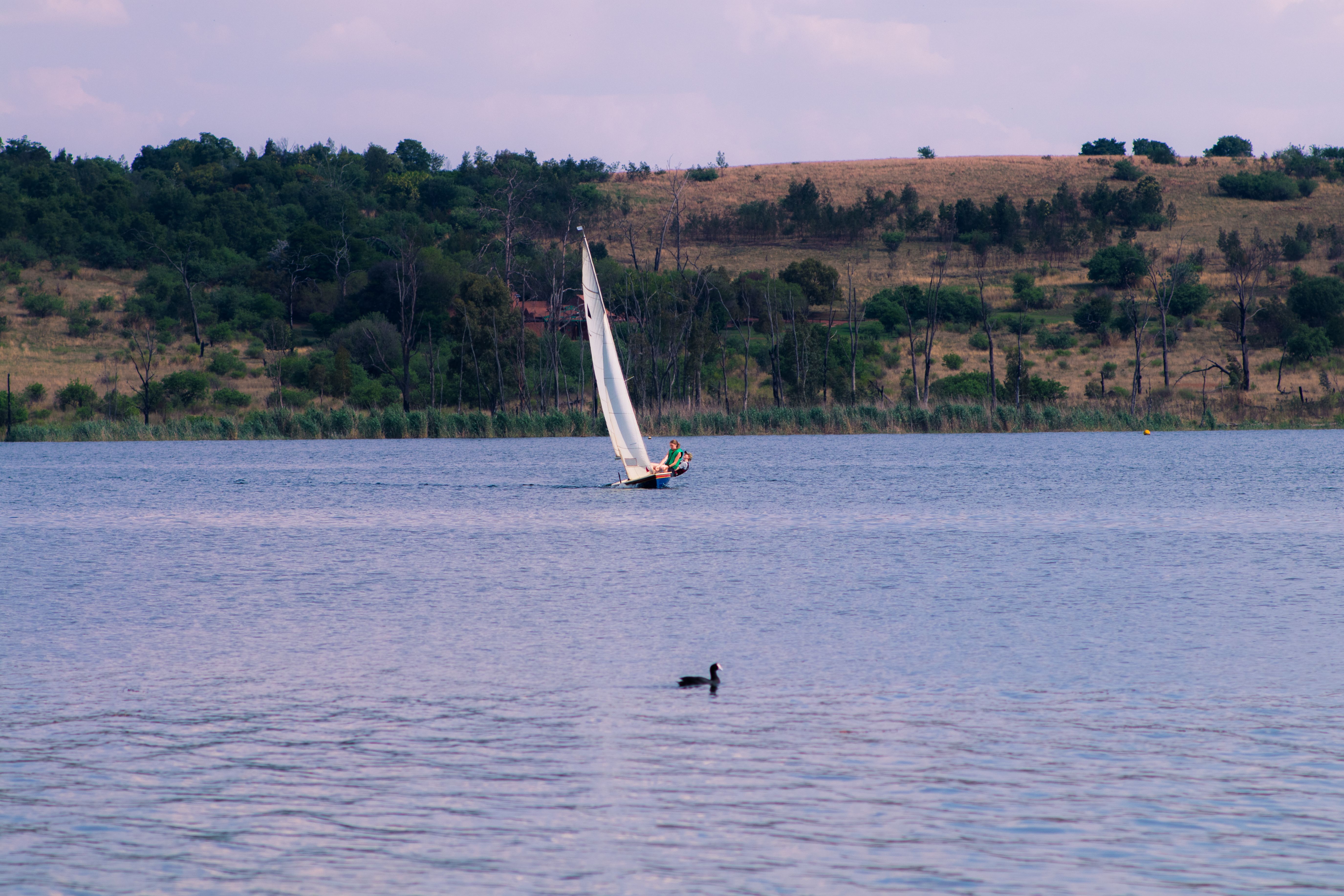 Sailor Sailing on One Sail Sailboat · Free Stock Photo