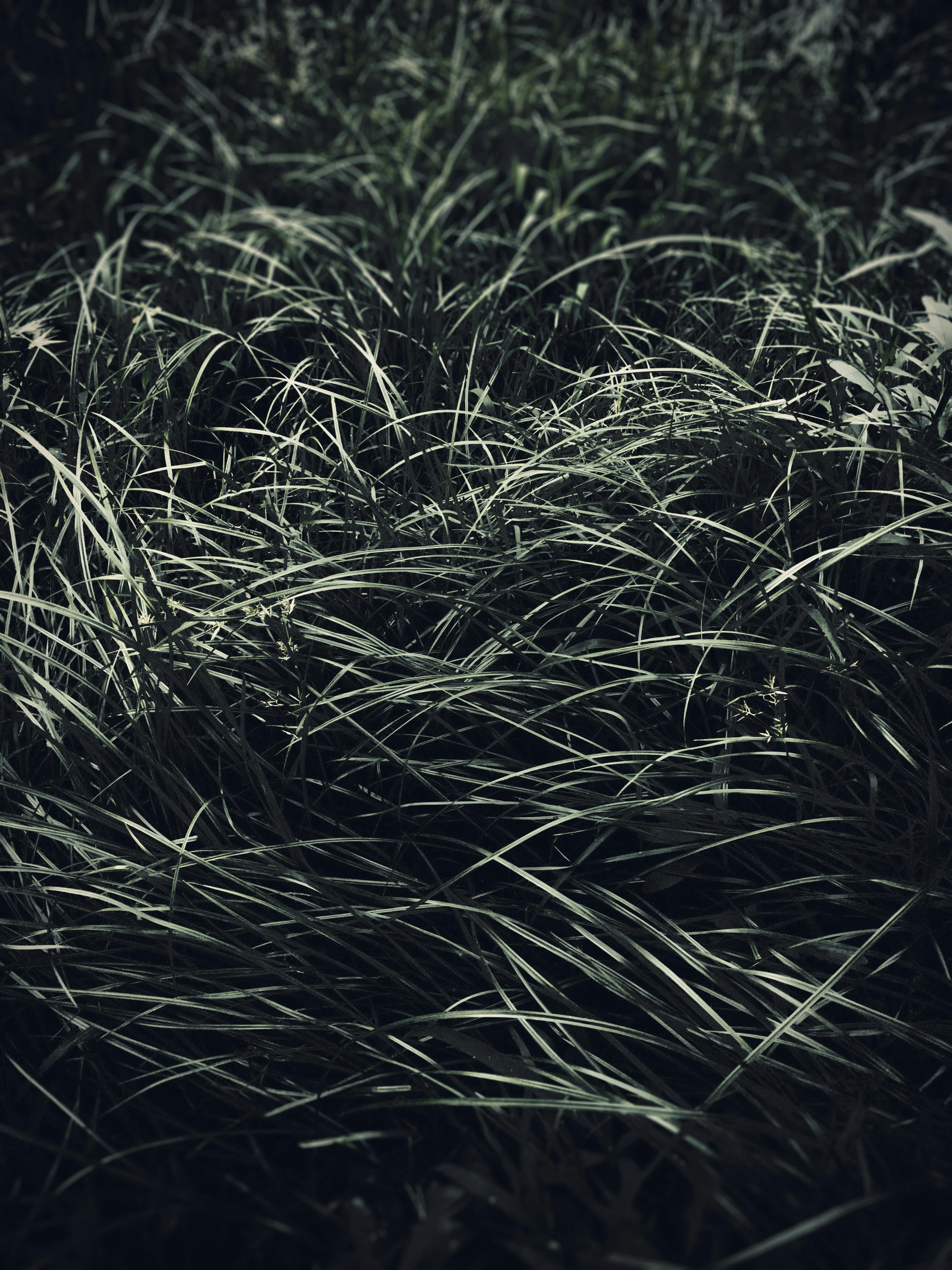 Land Density Photos, Download The BEST Free Land Density Stock Photos ...