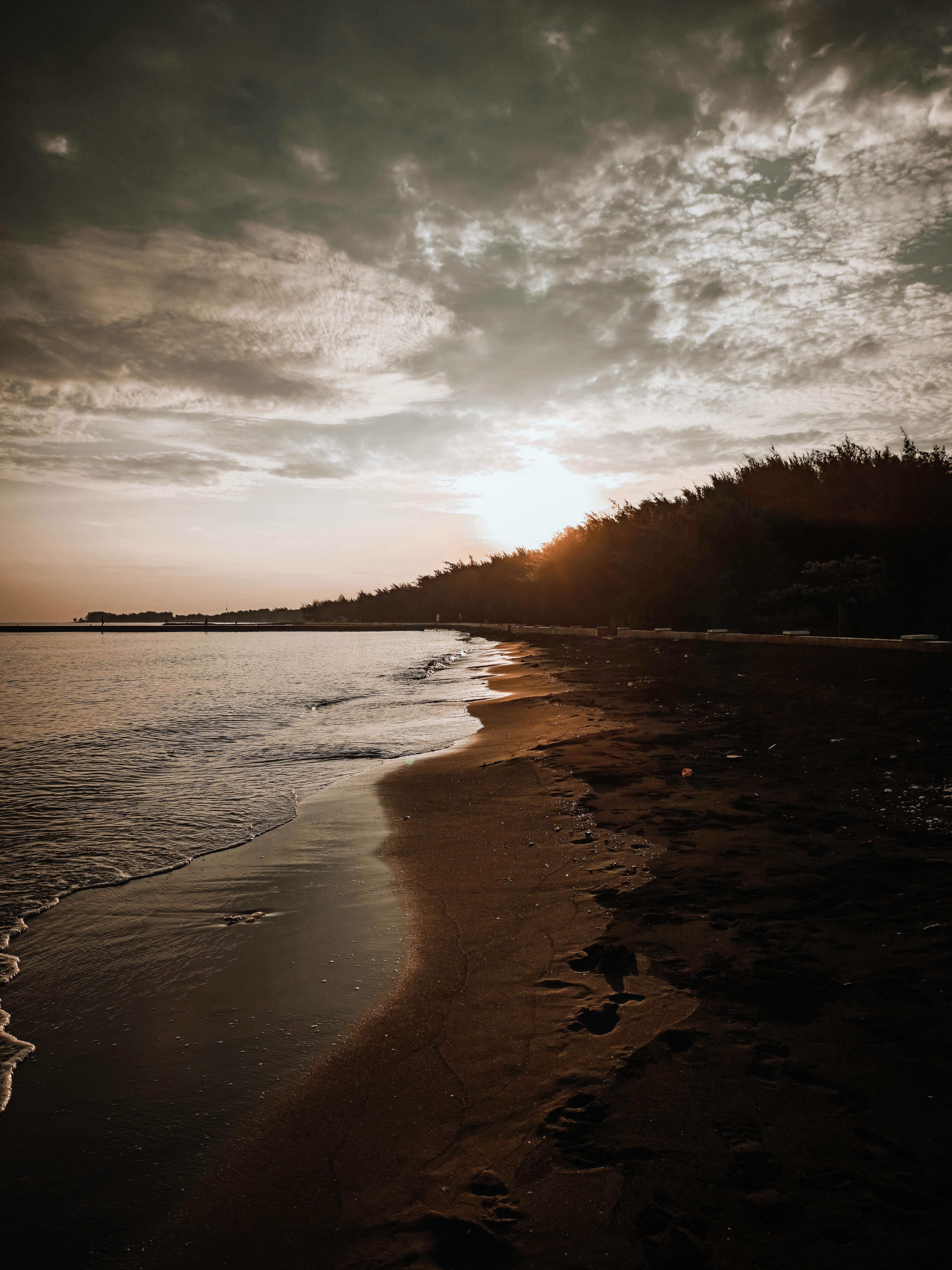 Bright sunshine over sea and plants on hill · Free Stock Photo