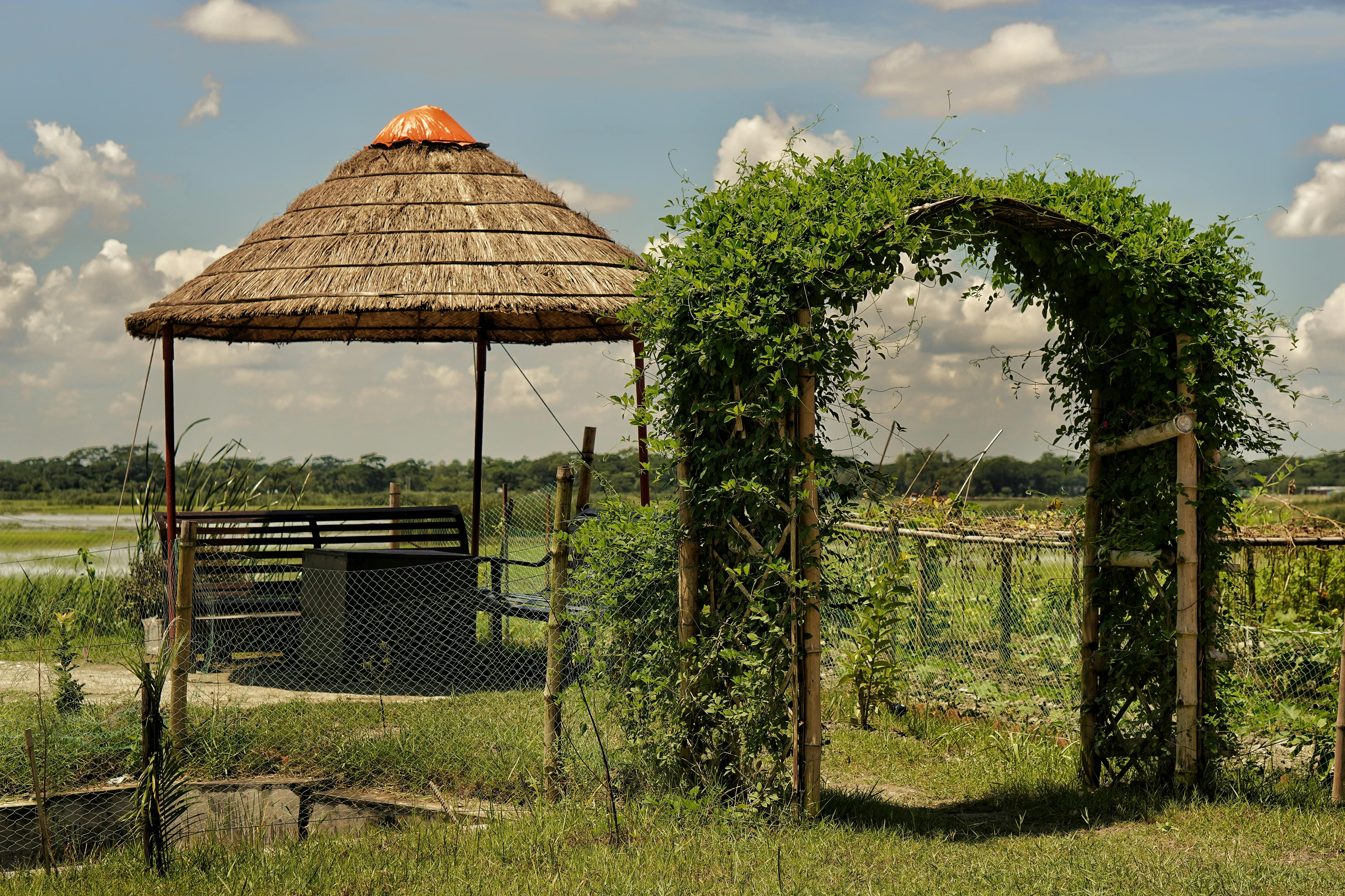 A Thatched Roof Hut with a Bamboo Arched Entrance · Free Stock Photo