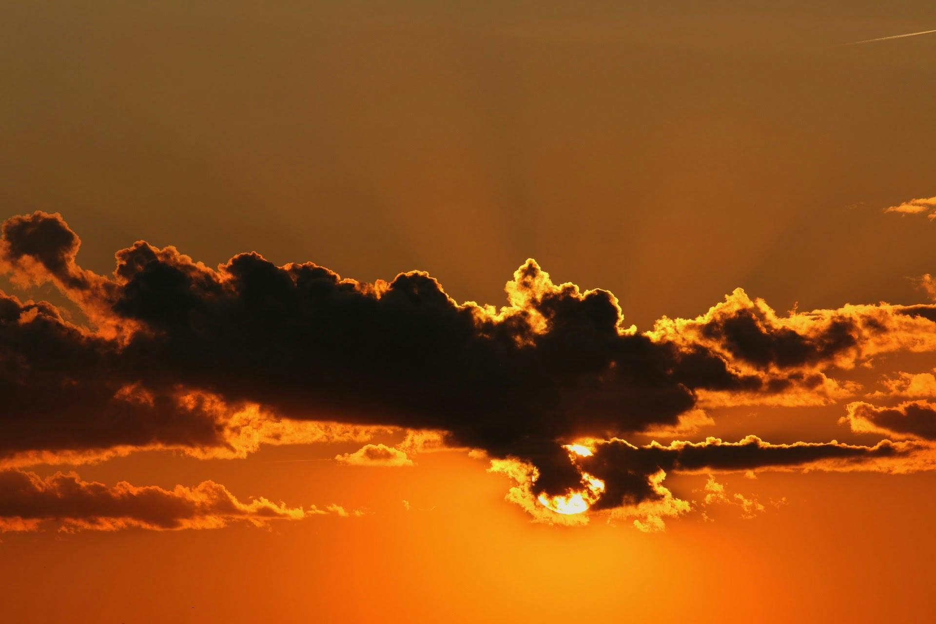 Free stock photo of abstract, afternoon, amazing