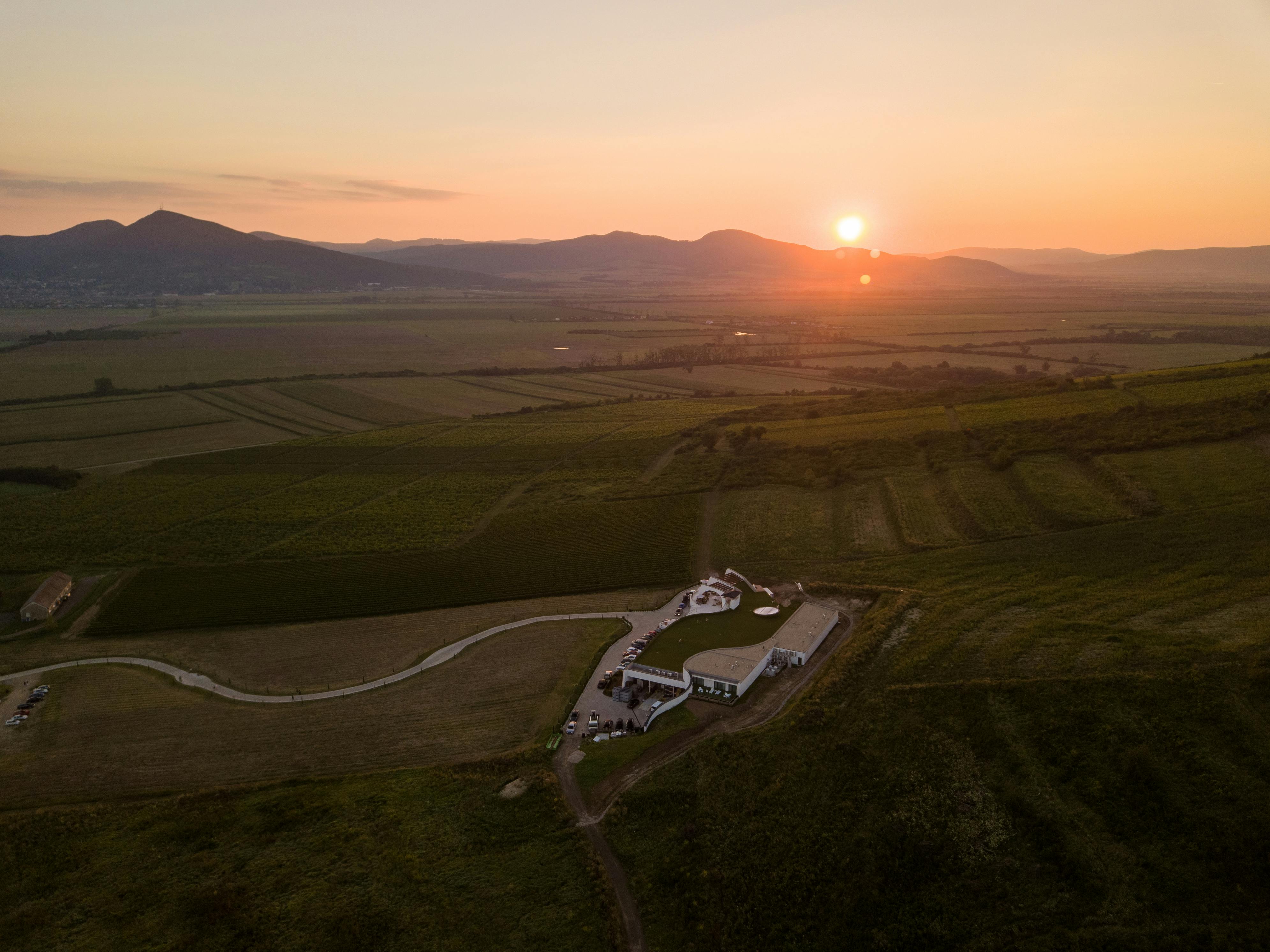 Aerial View of Cropland · Free Stock Photo