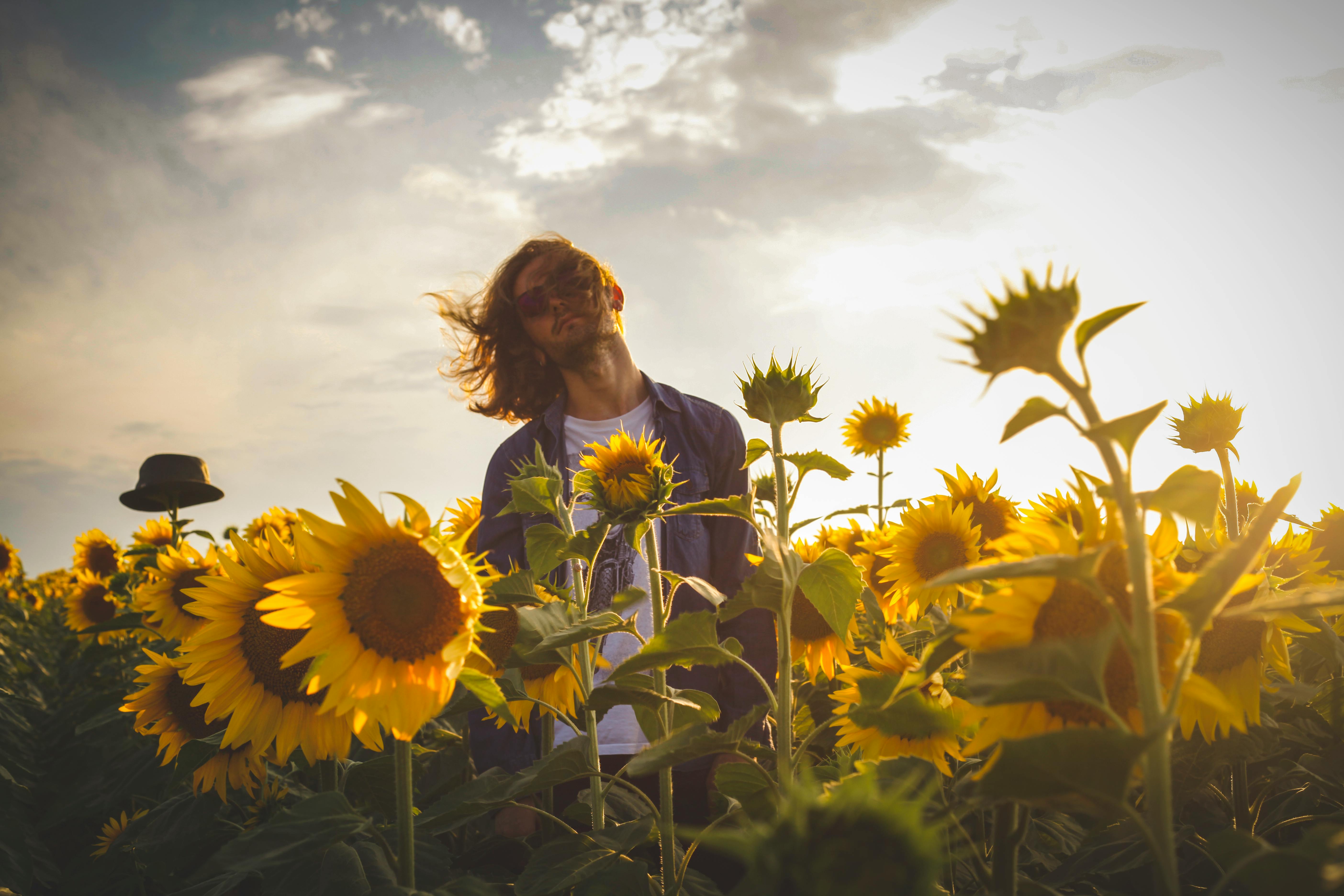 A Man Standing on a Sunflower Field · Free Stock Photo