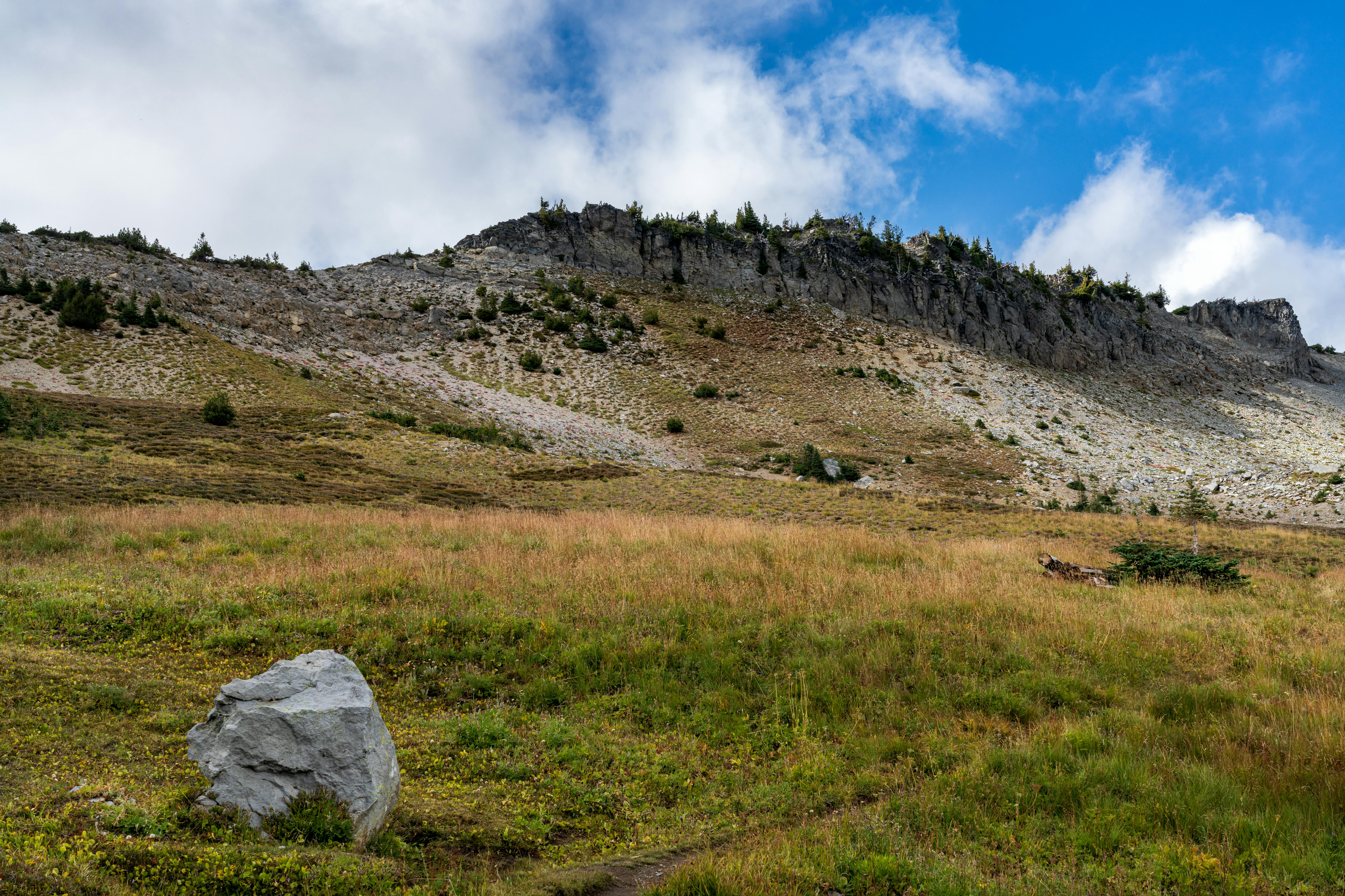 Big Gray Rock on the Grass Field · Free Stock Photo