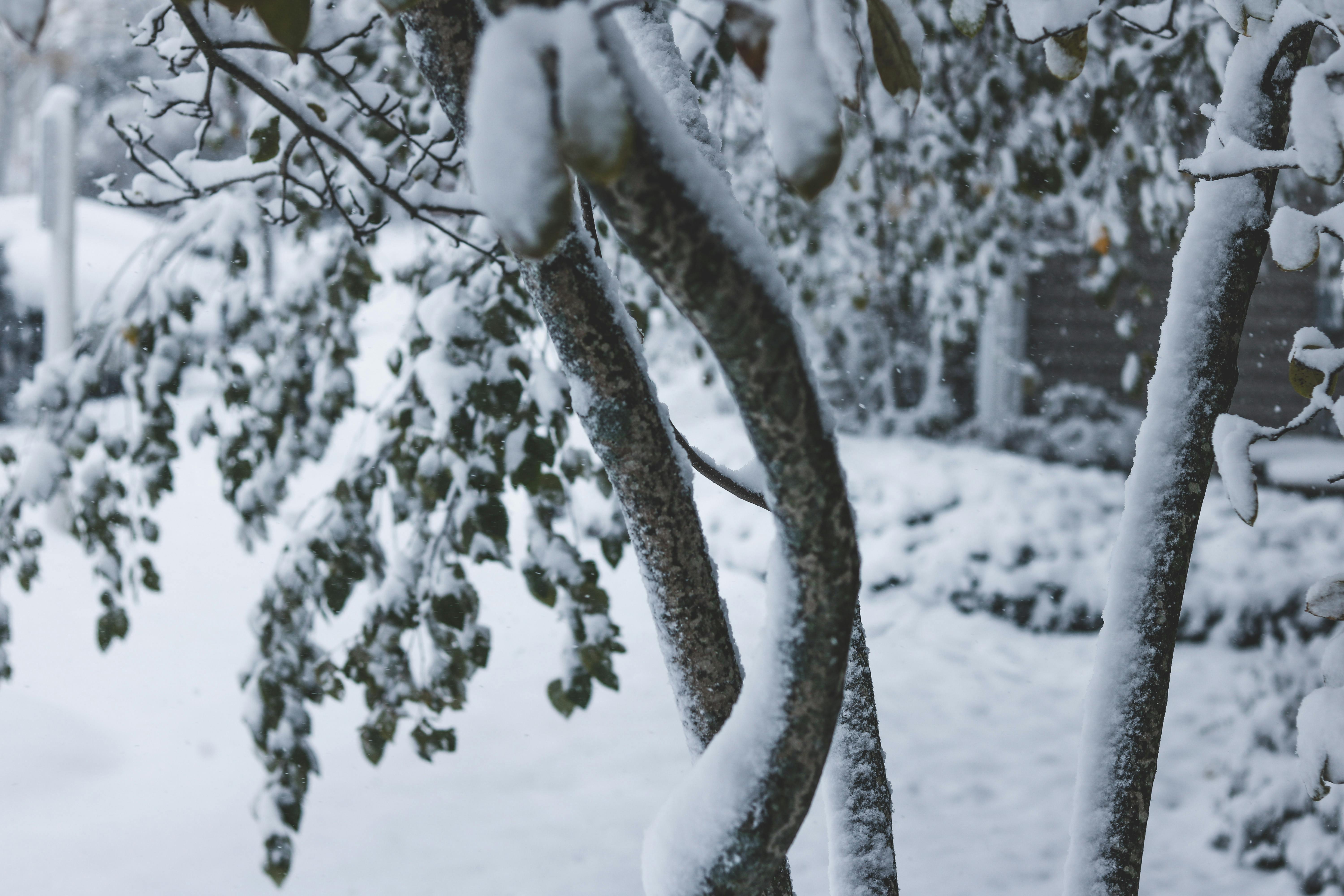 Sobia Akhtar - Photography