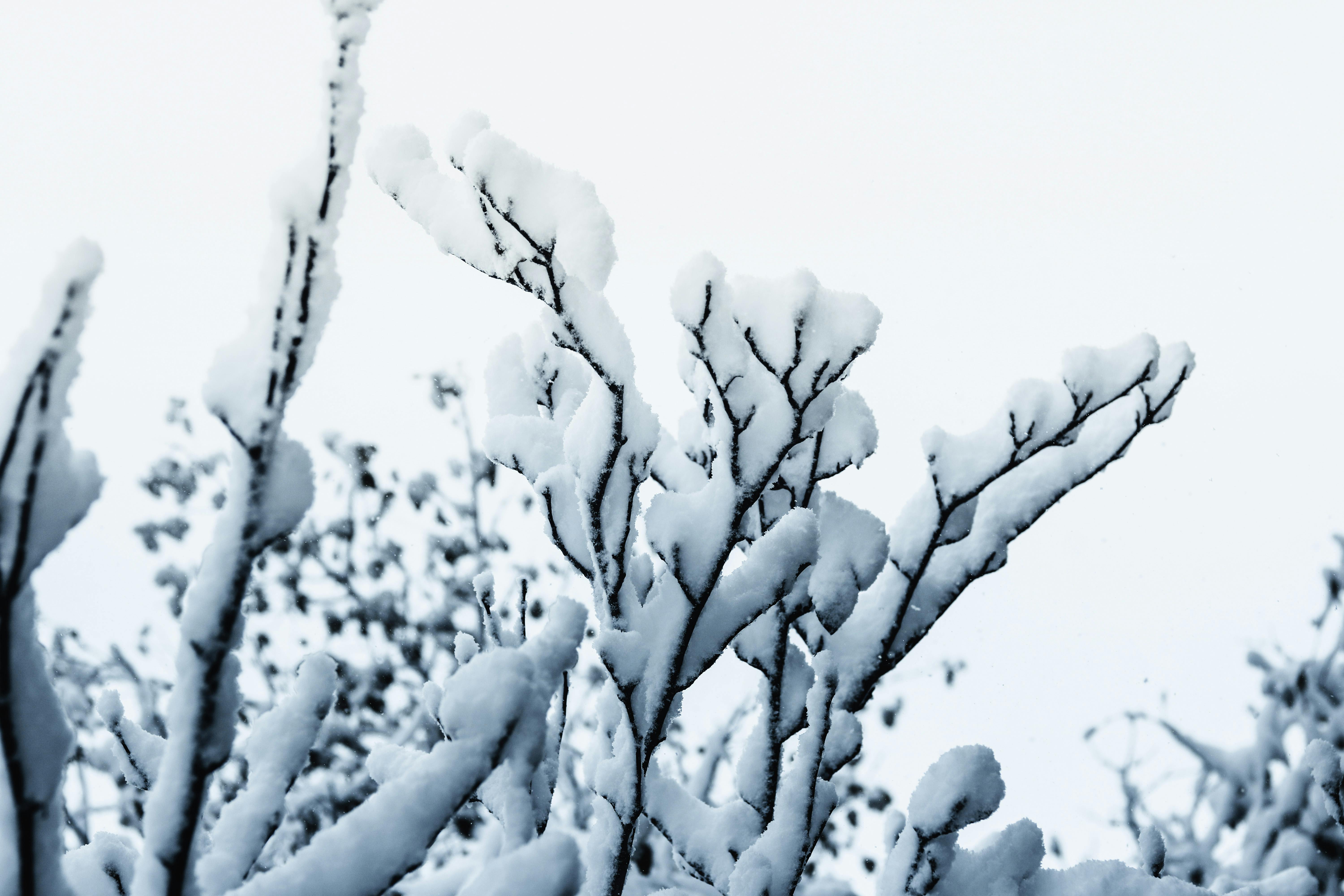 Sobia Akhtar - Photography