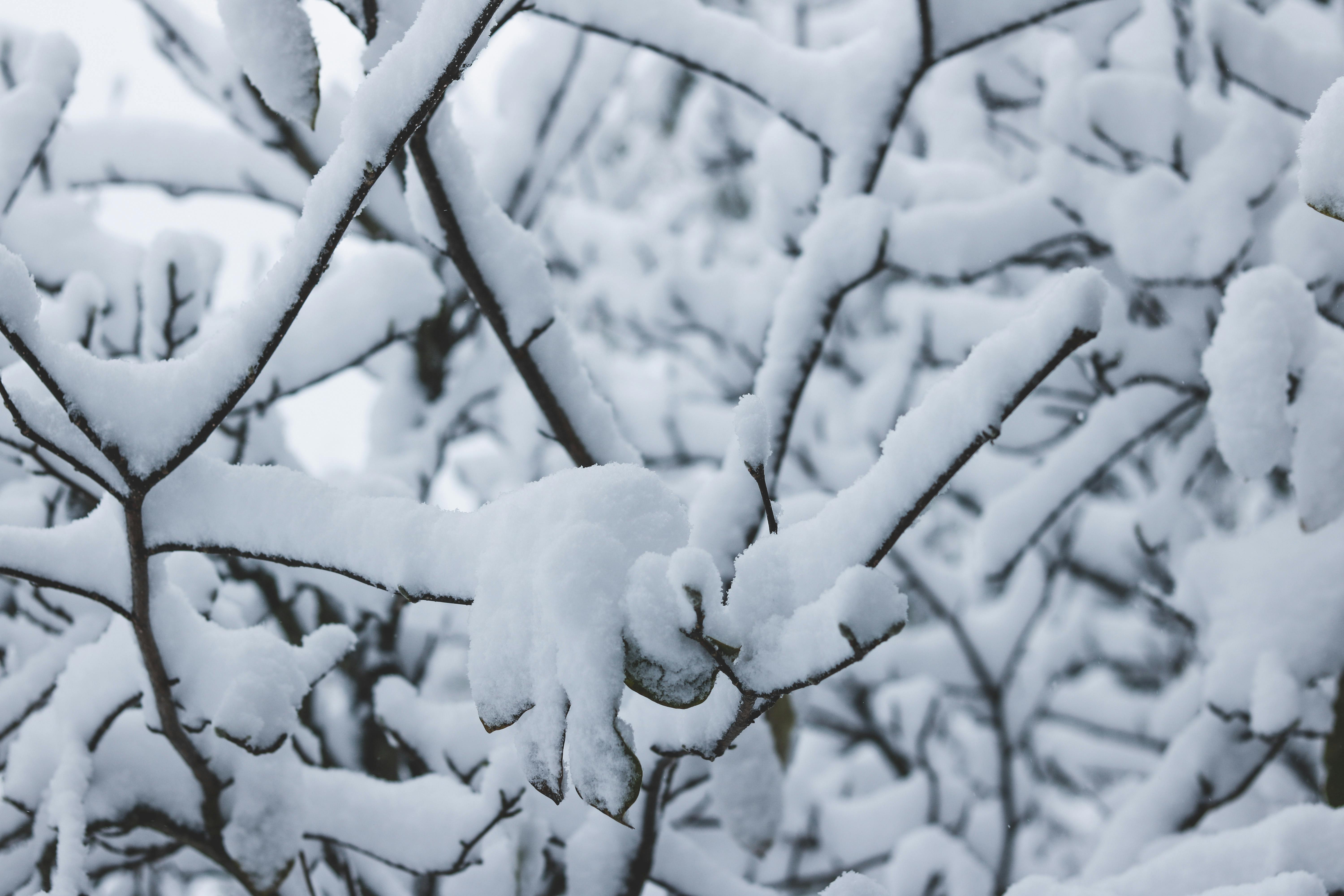 Sobia Akhtar - Photography