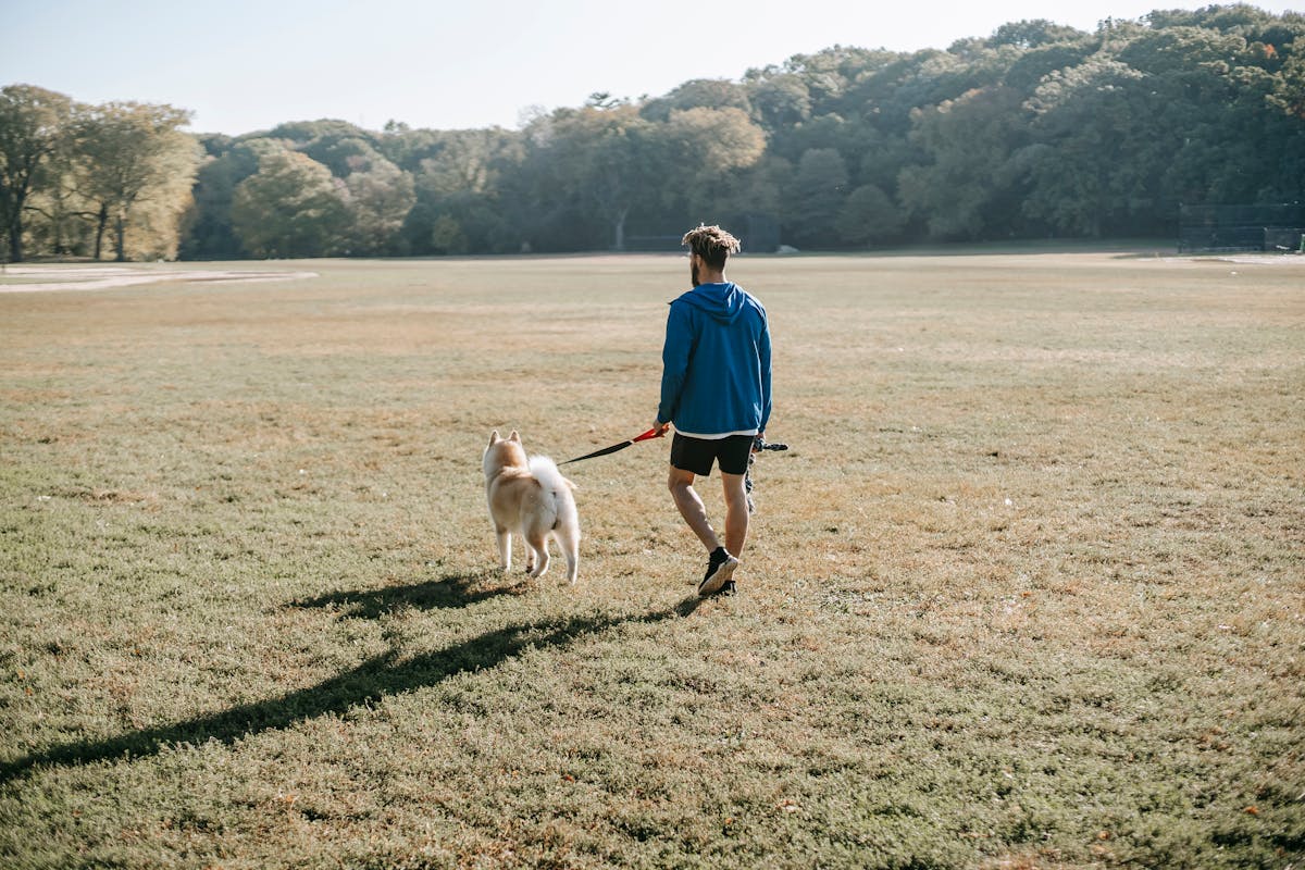 Slim Dog Photos, Download The BEST Free Slim Dog Stock Photos & HD Images