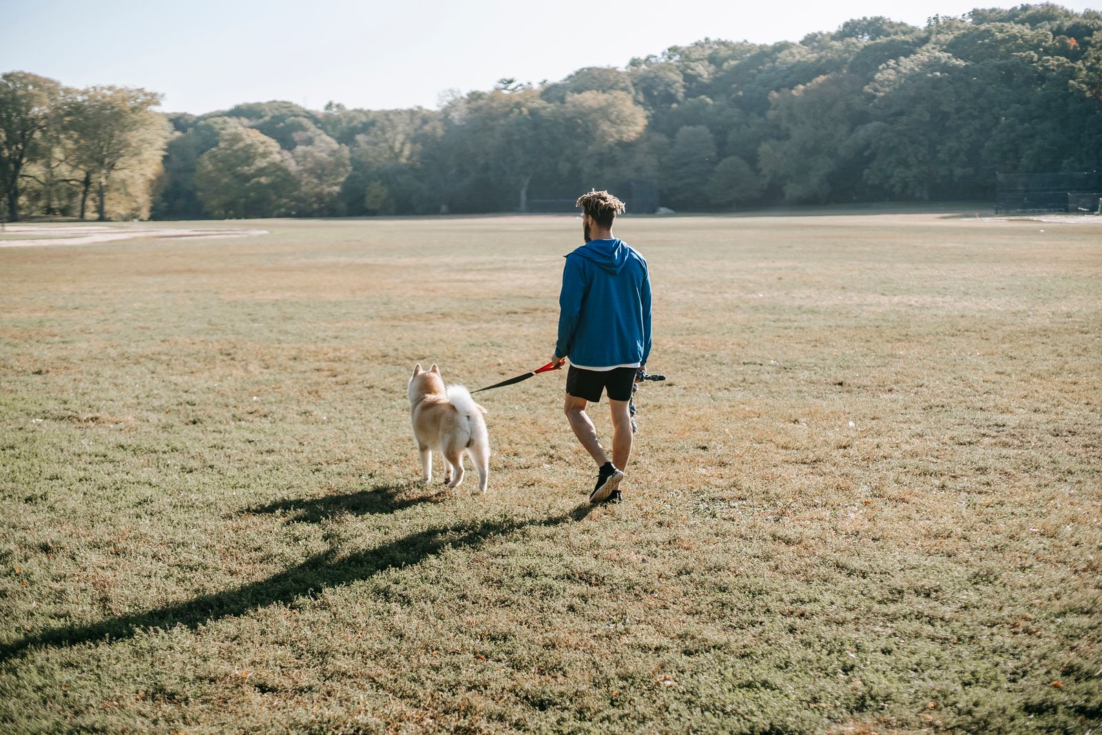 Slim Dog Photos, Download The BEST Free Slim Dog Stock Photos & HD Images