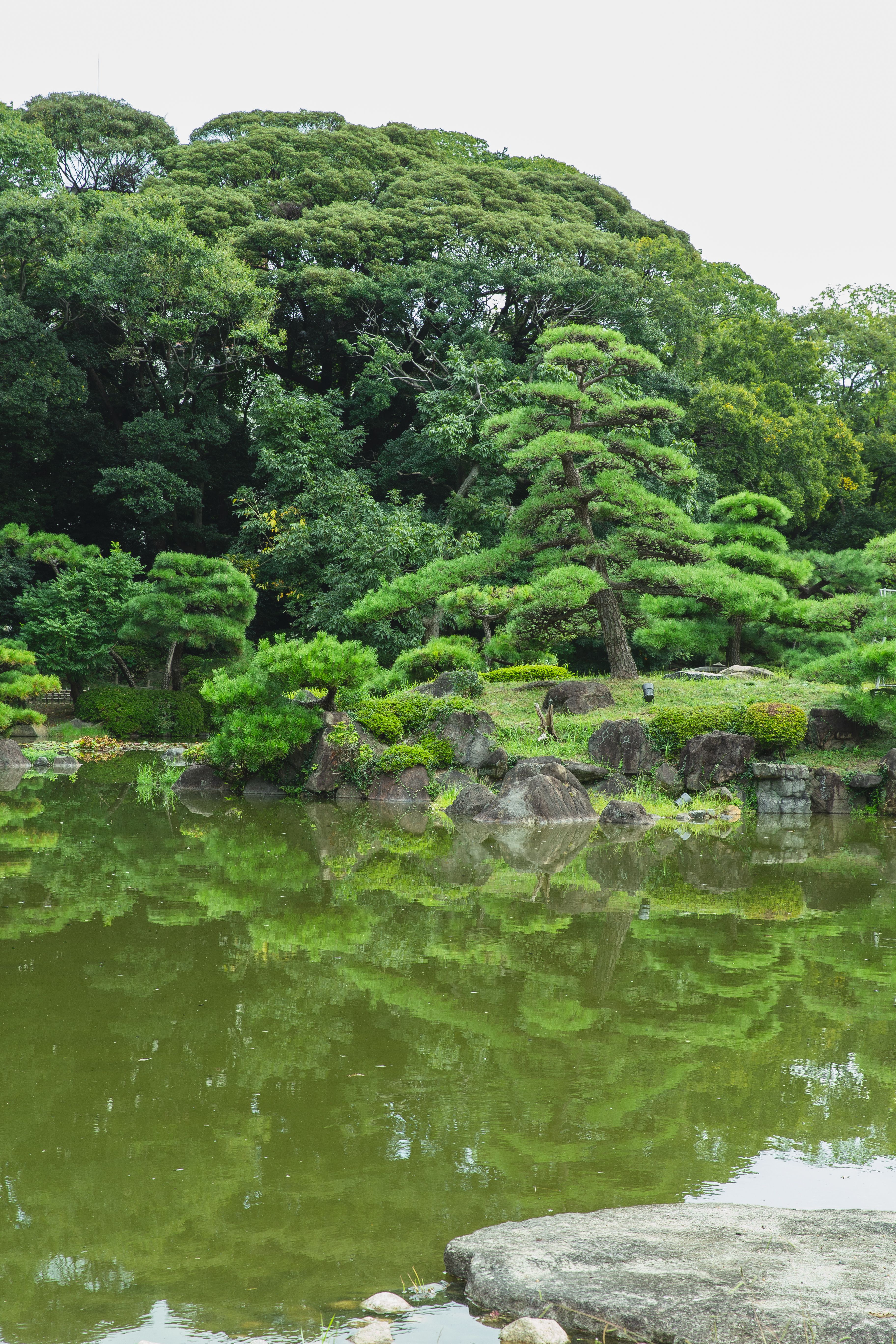 Beautiful Park Scene Photos, Download The BEST Free Beautiful Park ...