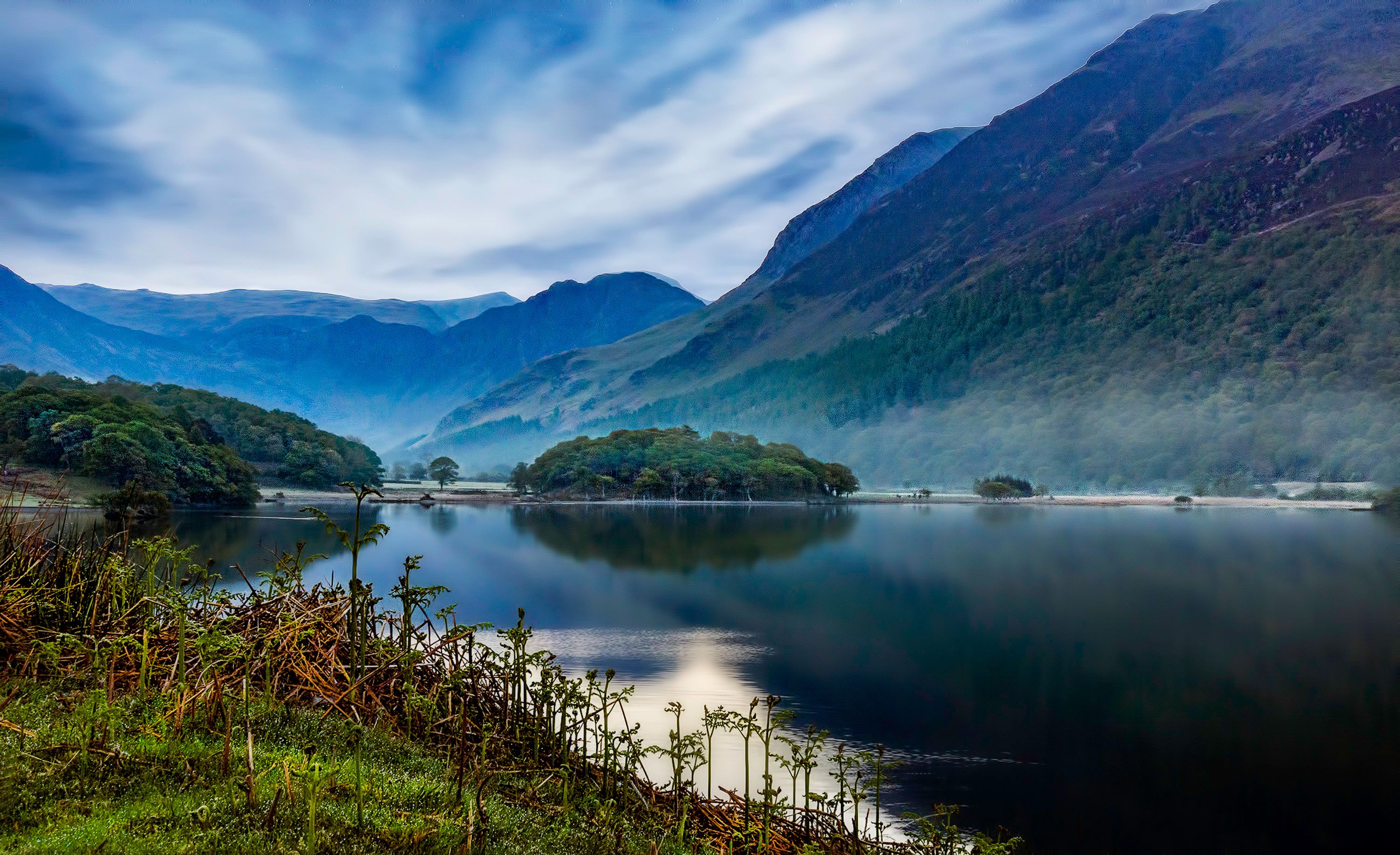 Green Trees Near the Lake · Free Stock Photo