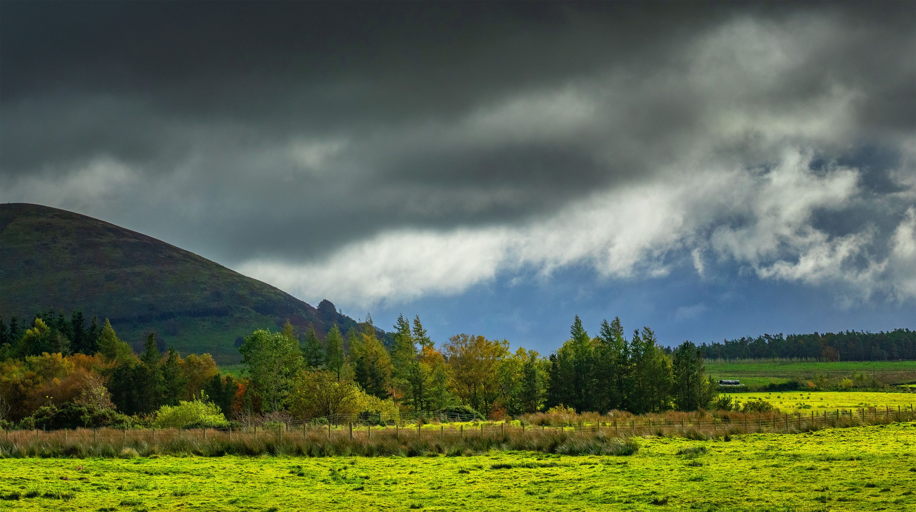 Green Trees on the Grass Field · Free Stock Photo