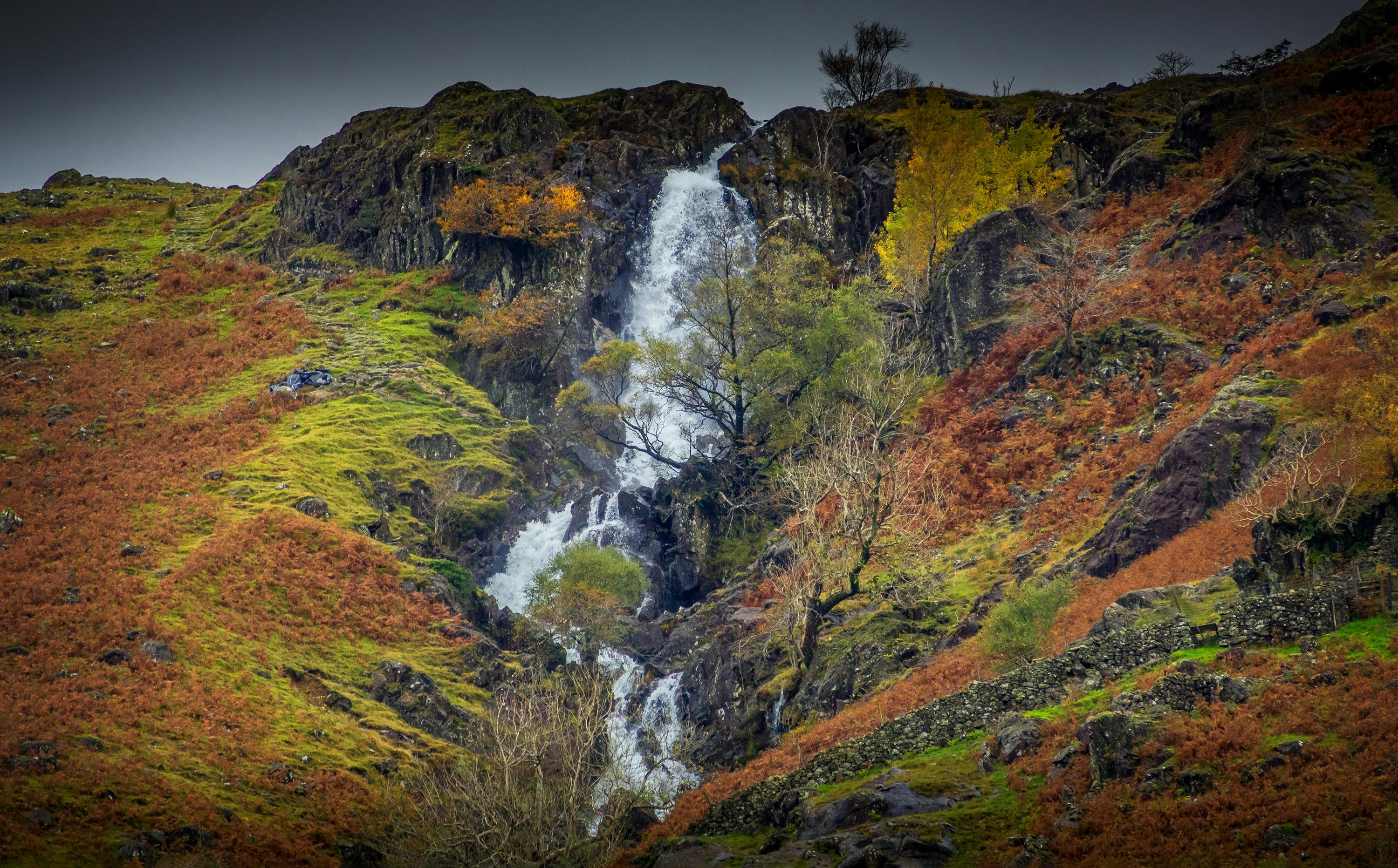 Green Trees Near the Waterfalls · Free Stock Photo