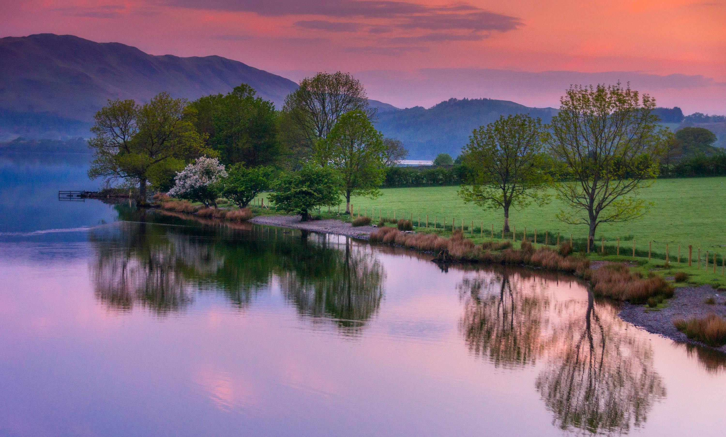 Reflection of Green Trees in the Water · Free Stock Photo