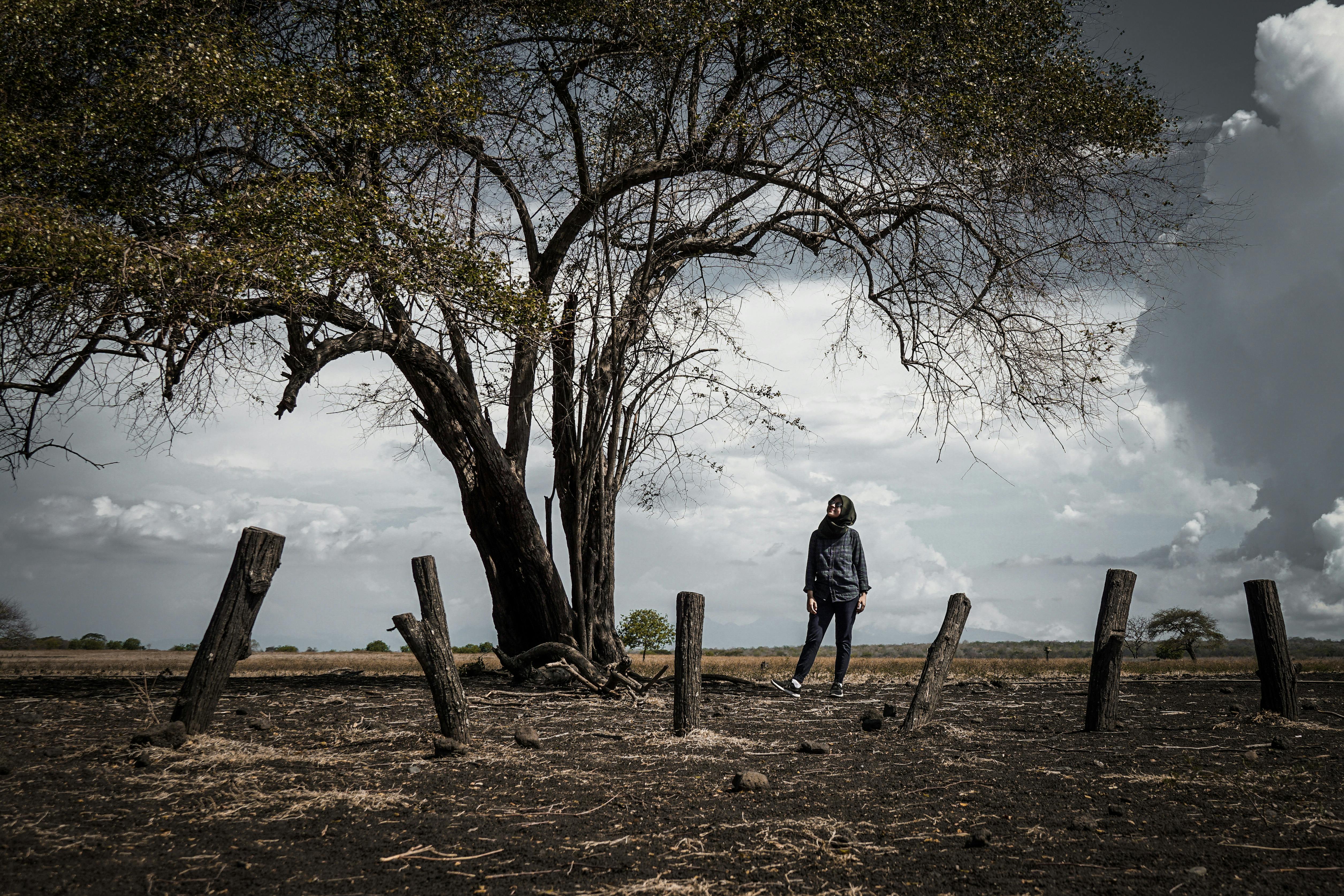 A Woman Standing Under the Tree · Free Stock Photo