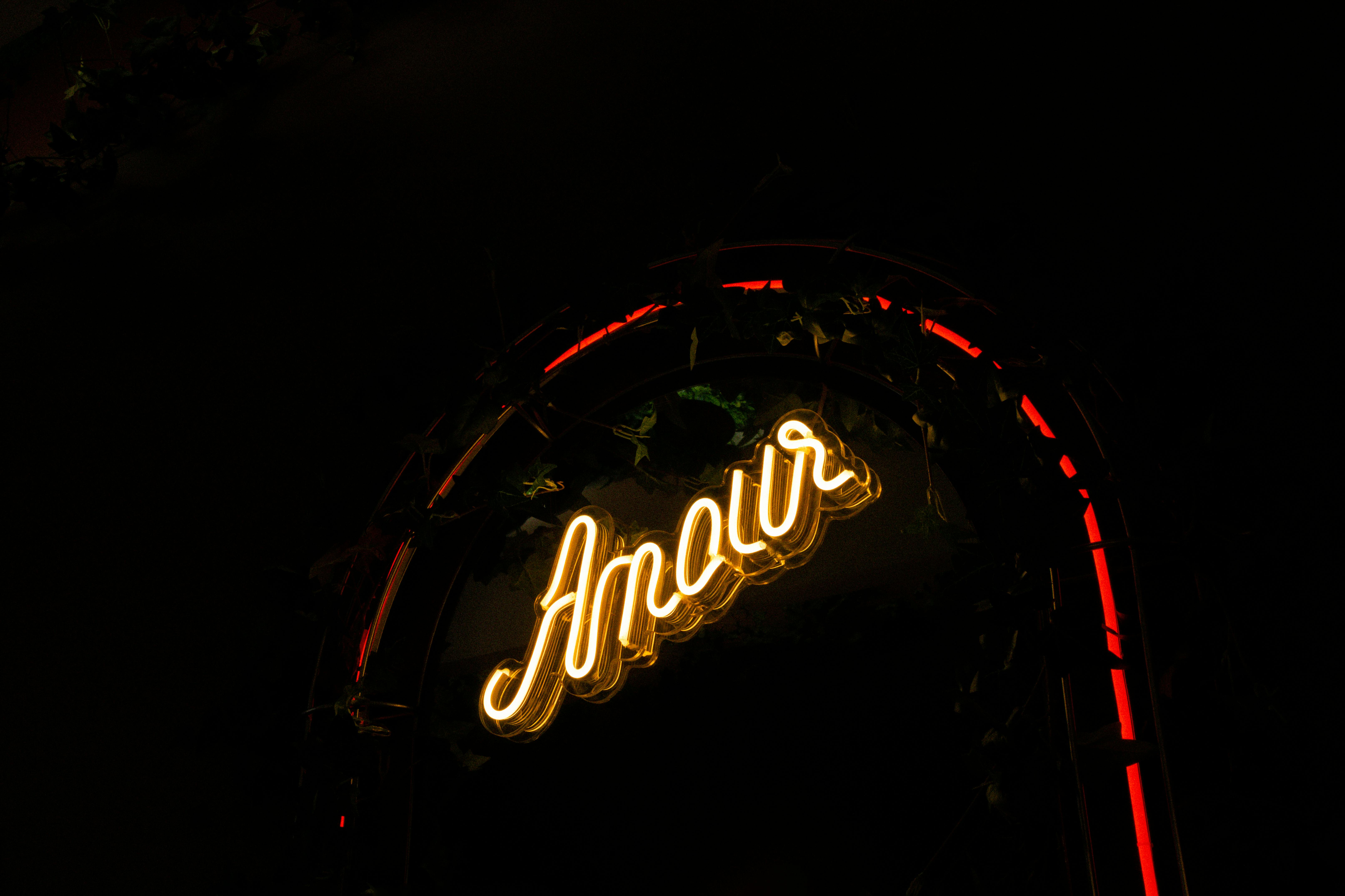 Neon Sign in a Black Background · Free Stock Photo