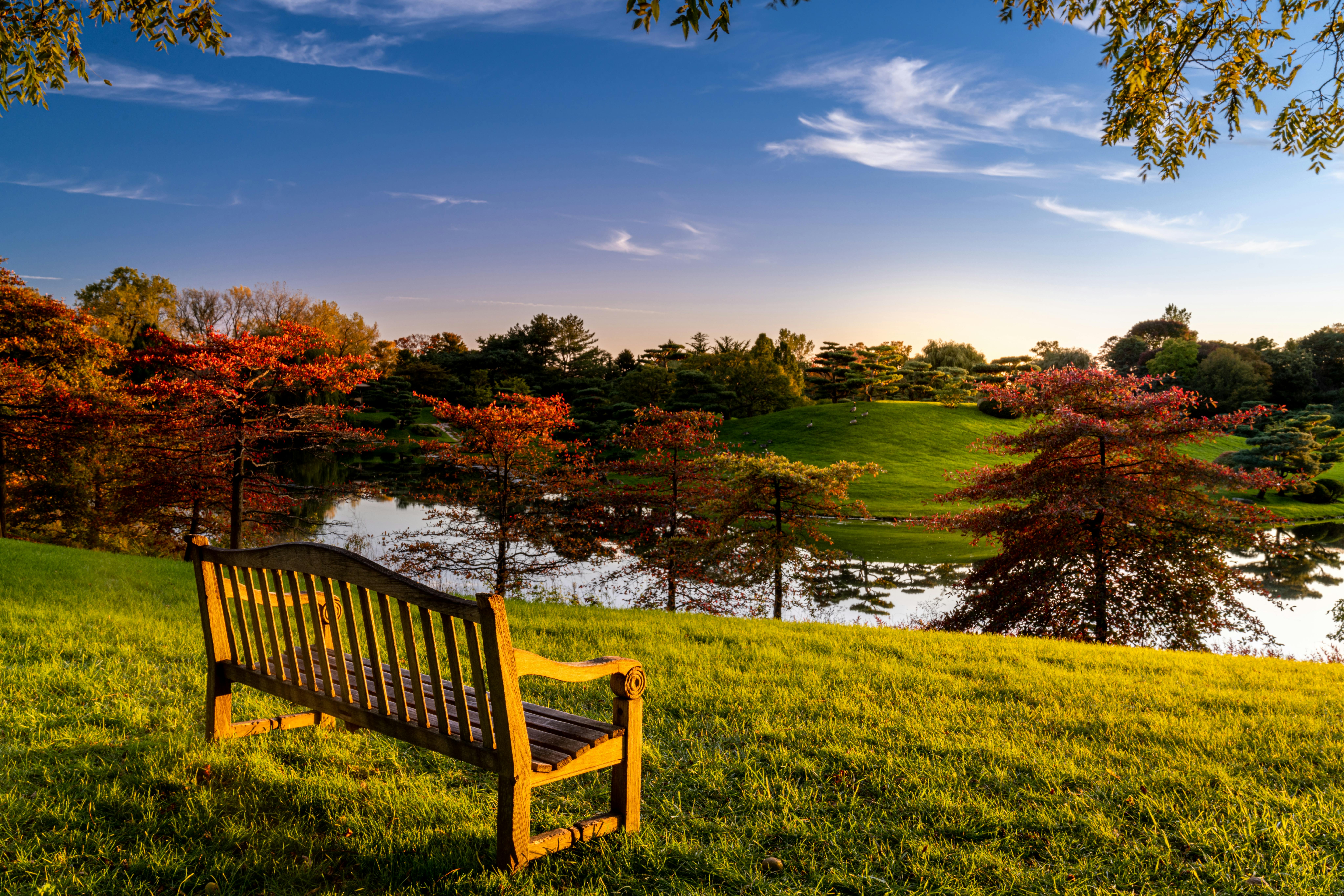 Bench on green shore of lake in park · Free Stock Photo