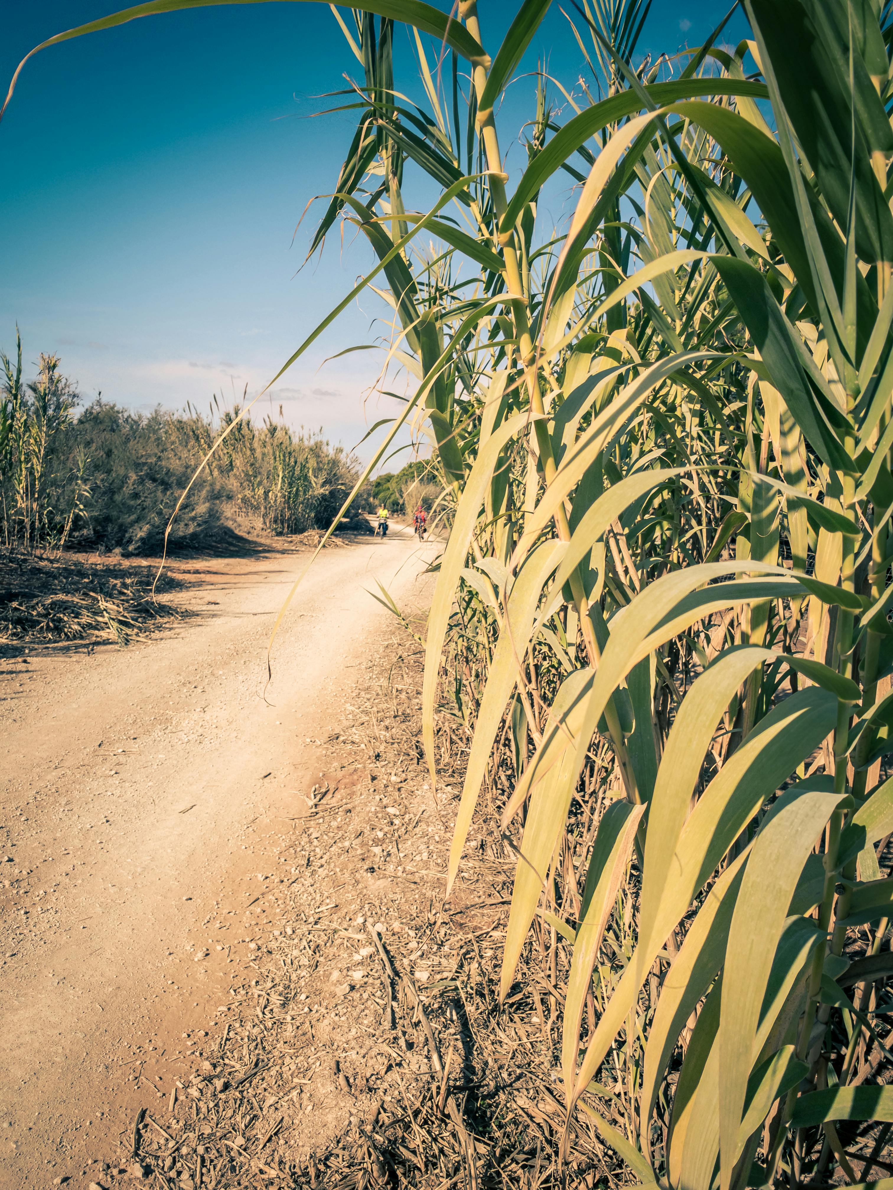 Barbara Bober – Fotografia