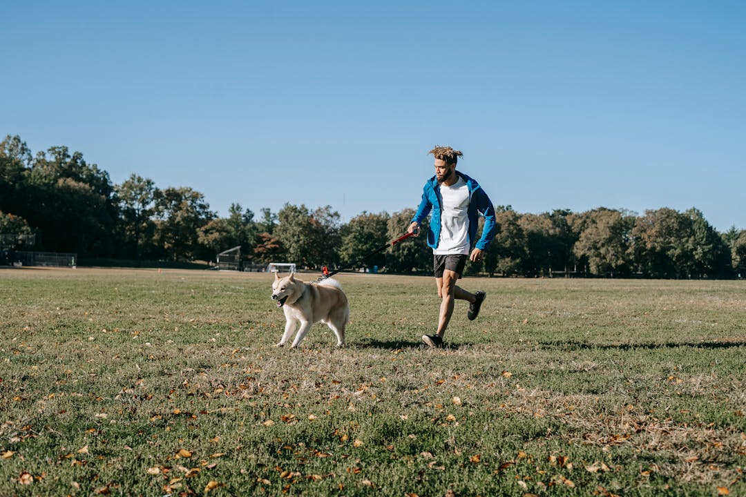 Exploring Mutt Run Off-Leash Dog Park: A Comprehensive Guide