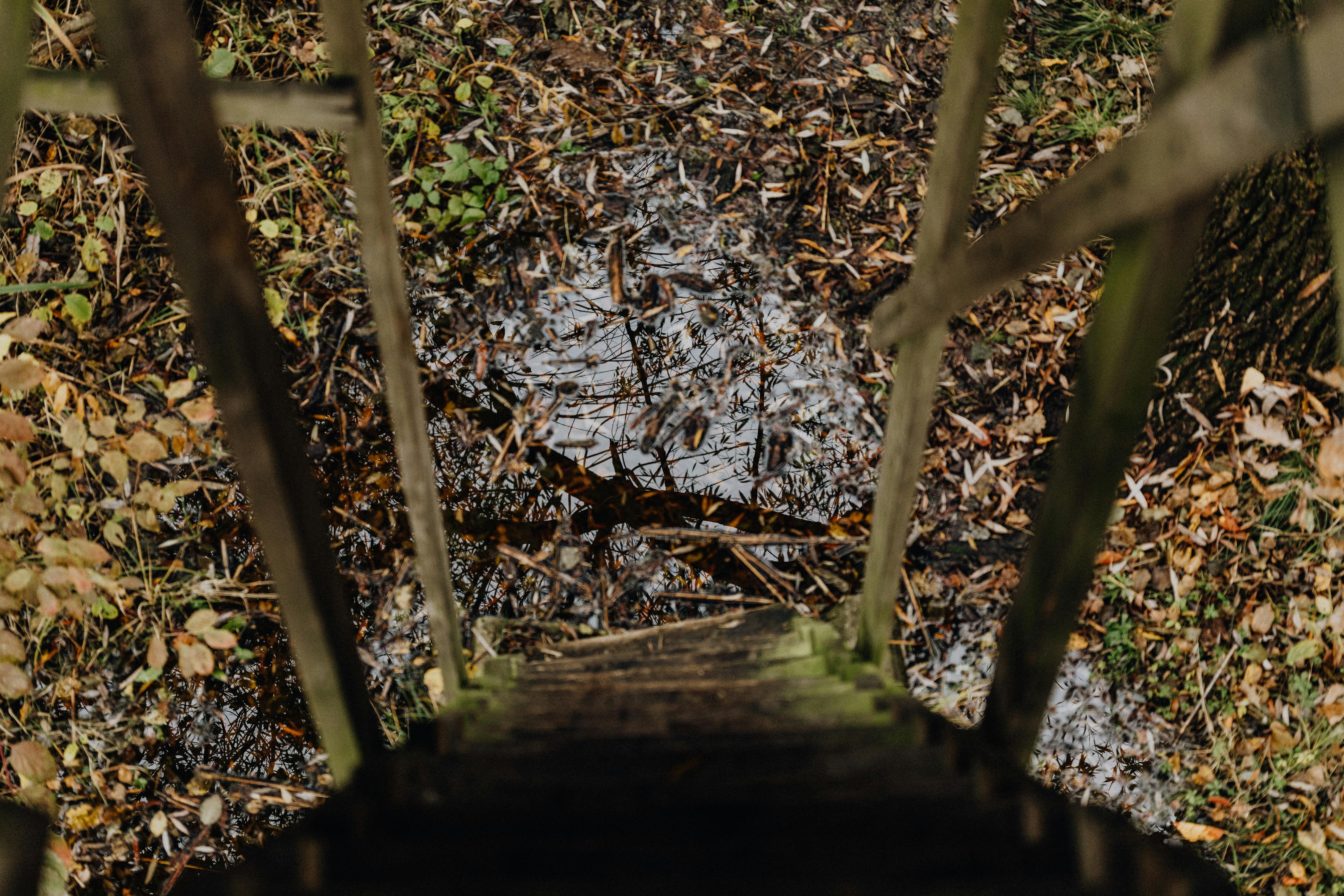 Puddle On Stairs Photos, Download The BEST Free Puddle On Stairs Stock ...