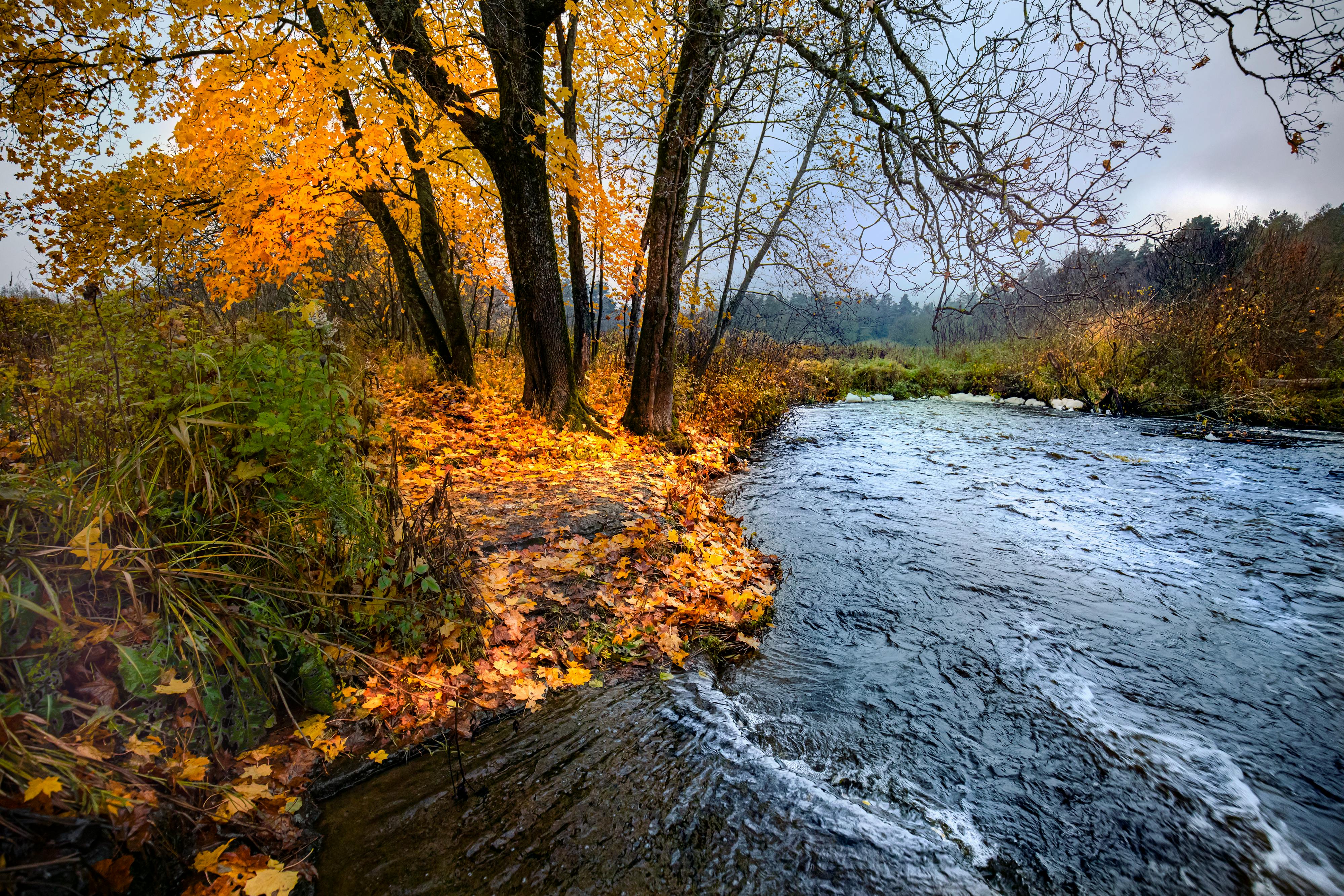 Vahi Photos, Download The BEST Free Vahi Stock Photos & HD Images