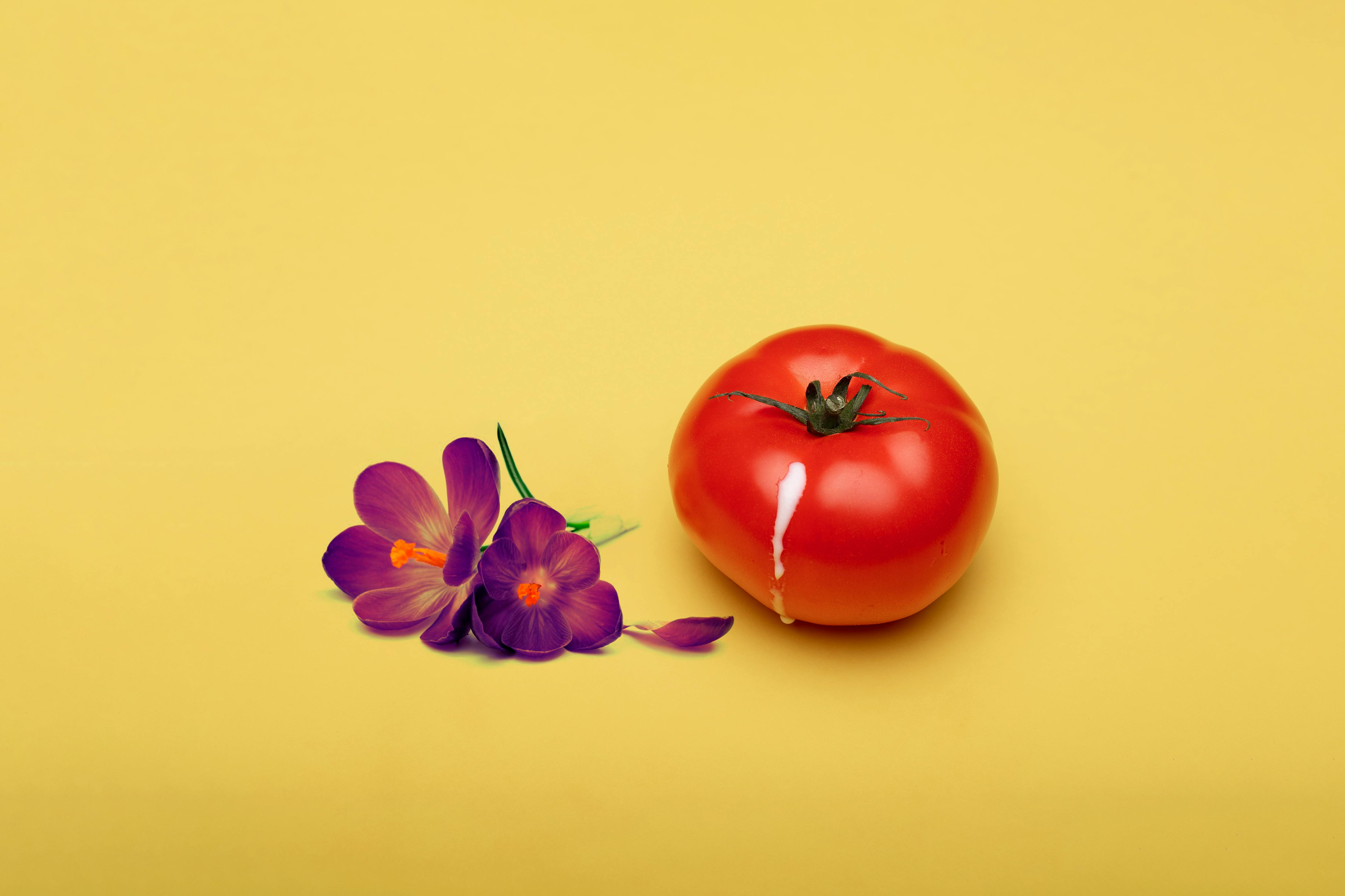 To Tomato Wallpaper Photos, Download The BEST Free To Tomato Wallpaper ...