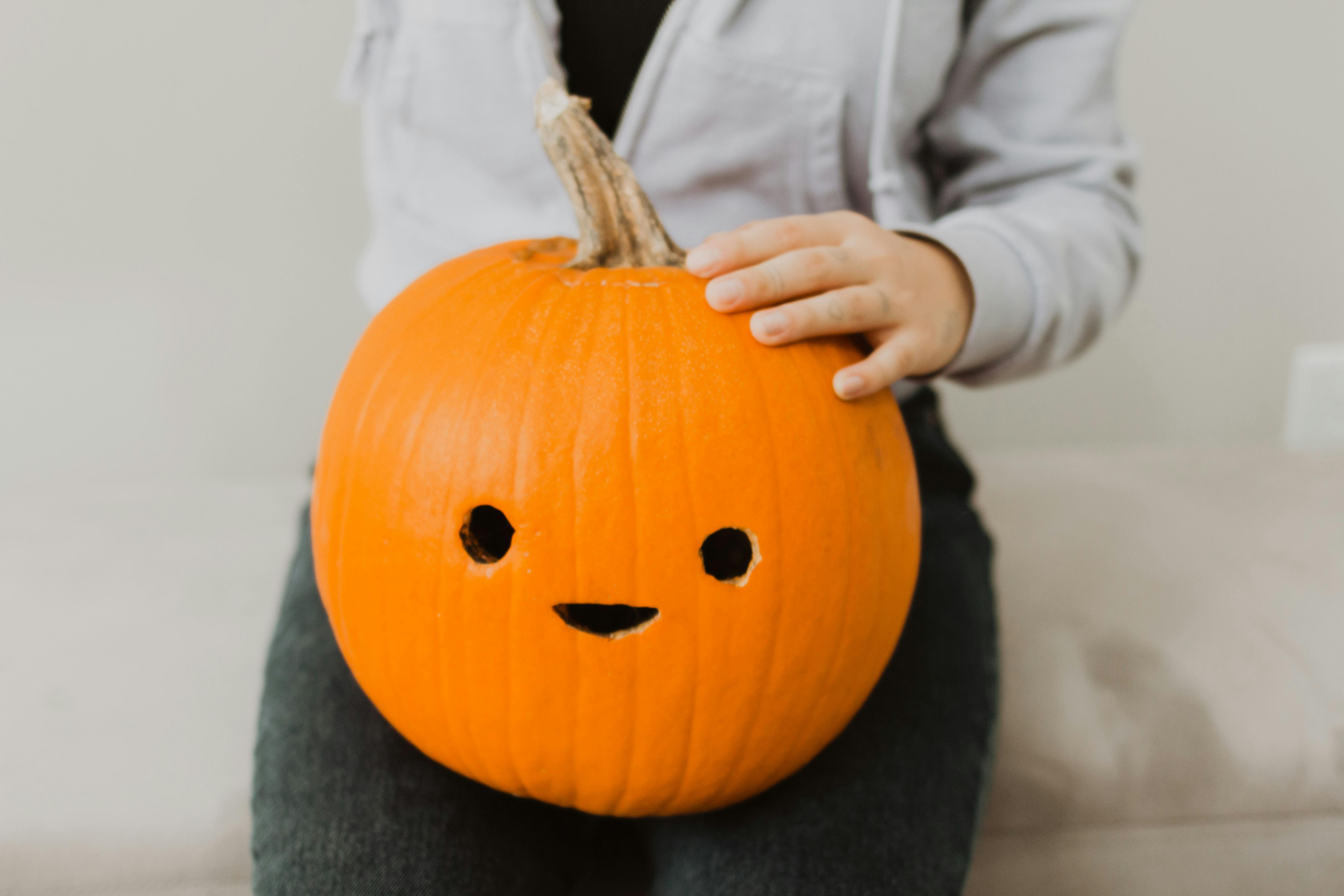 Halloween pumpkin on root in park · Free Stock Photo