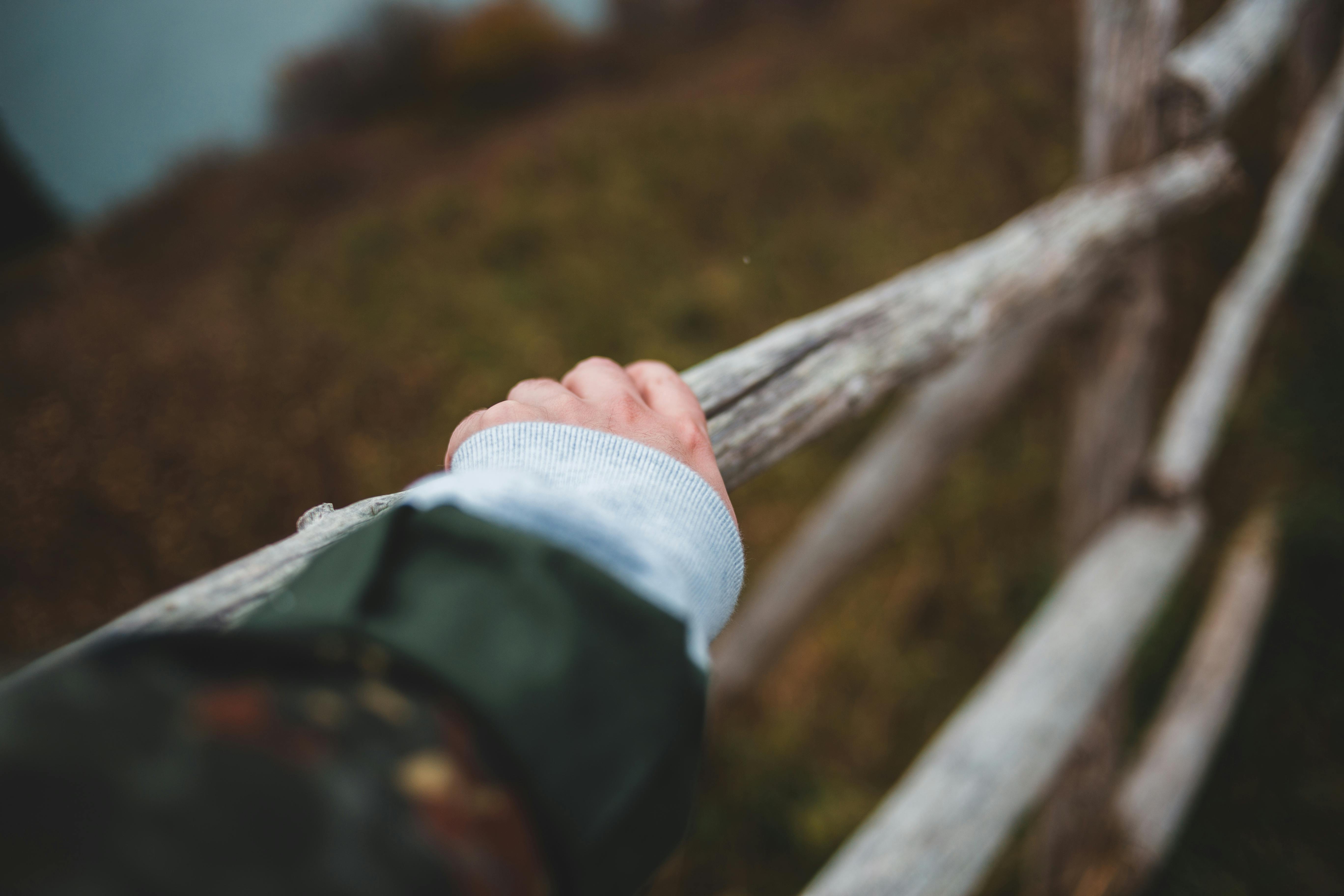 Crop person outstretching hand in forest · Free Stock Photo