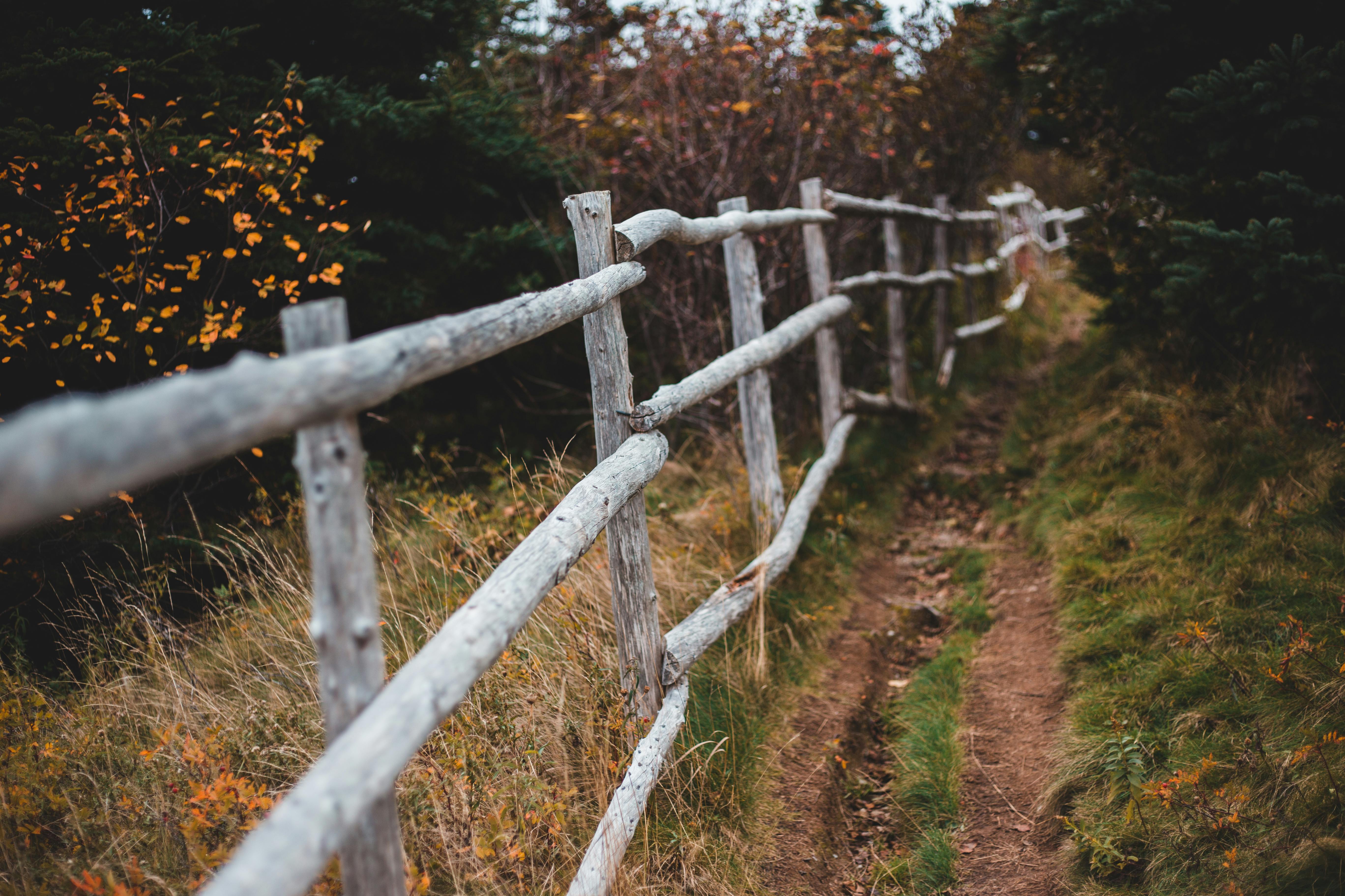 Long pathway surrounded by stone lantern · Free Stock Photo