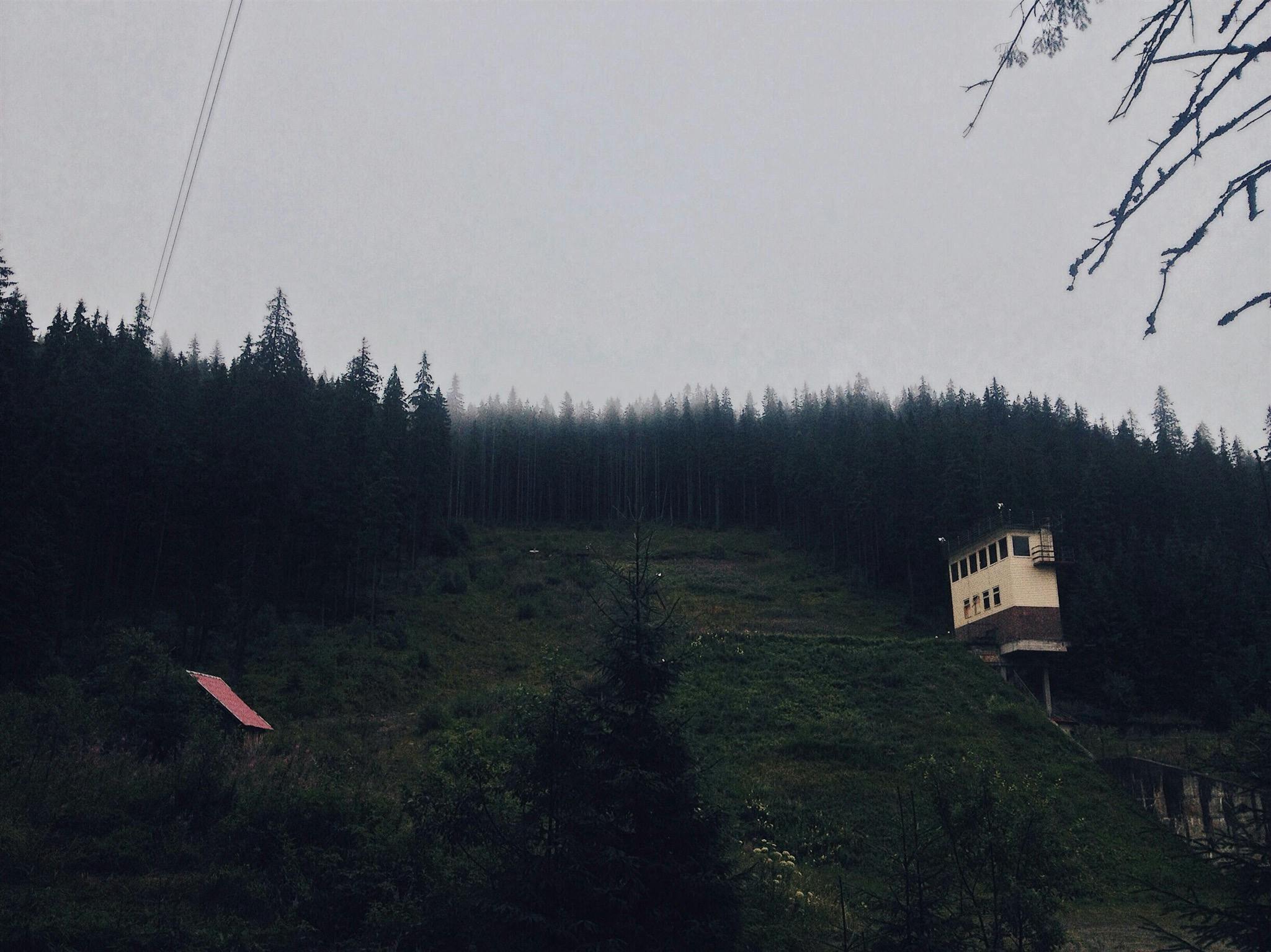 Danylo Zinchenko - 사진