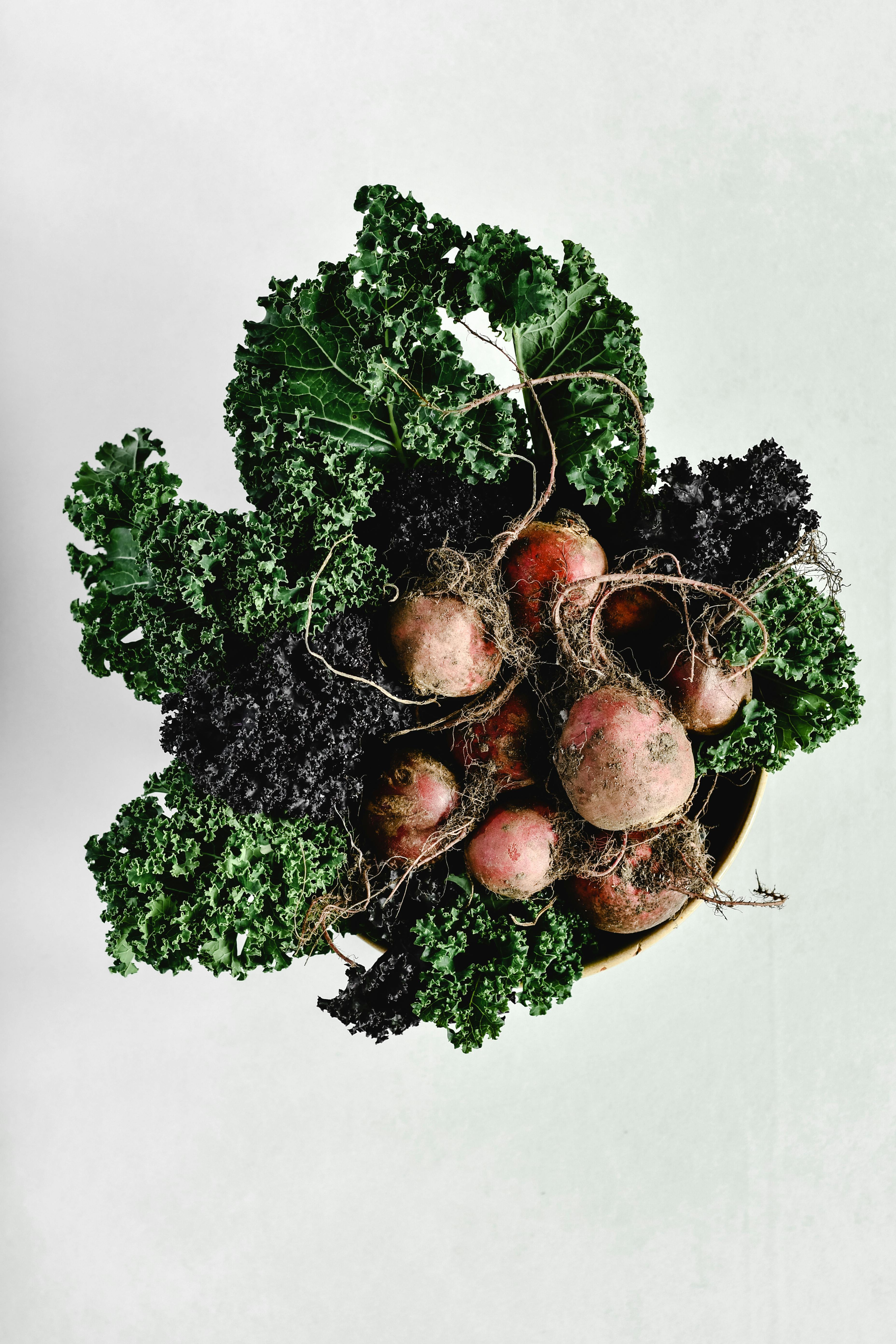 30,000+ Best Fresh Photos · 100% Free Download · Pexels Stock Photos