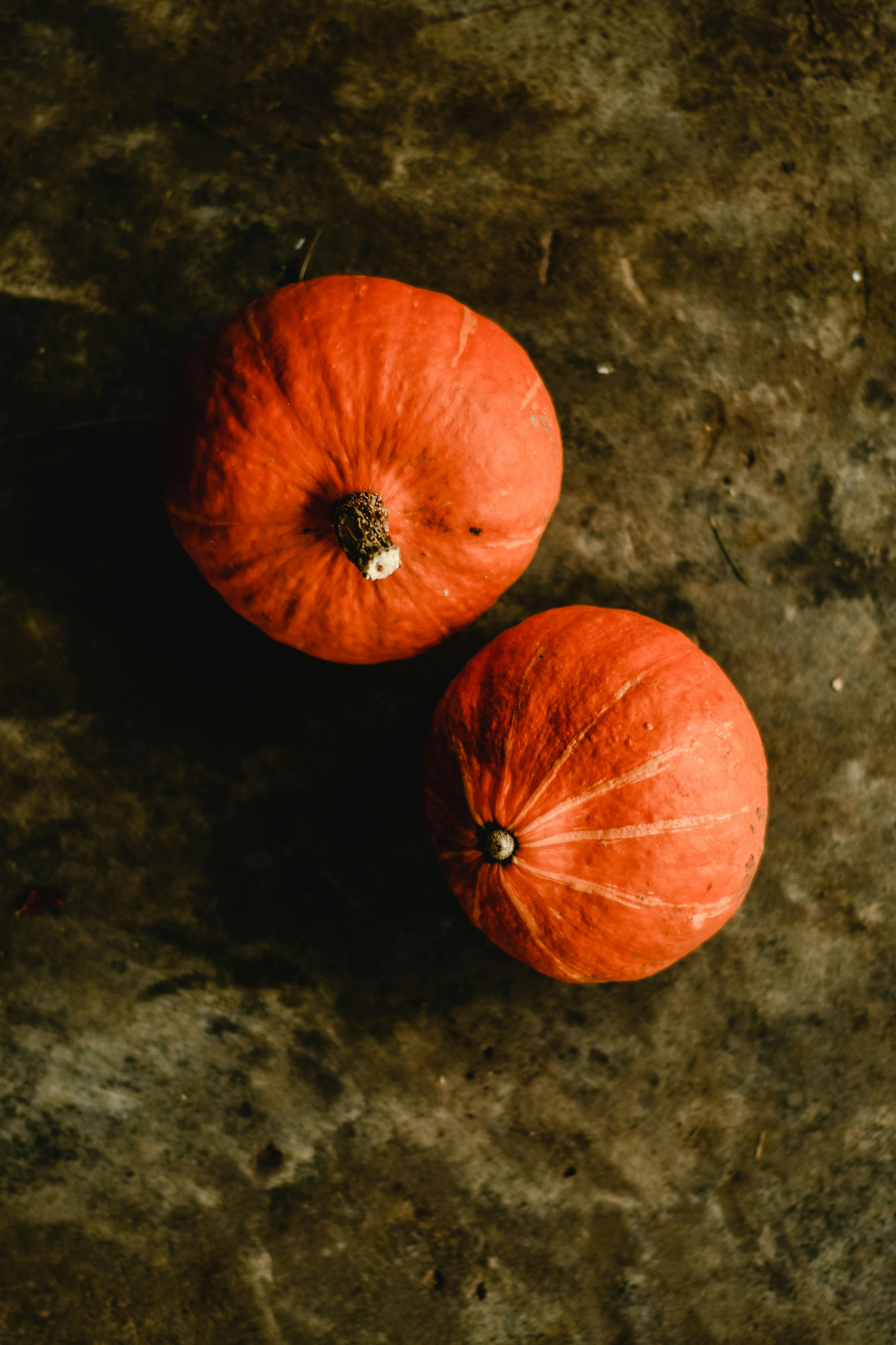 Stemp Photos, Download The BEST Free Stemp Stock Photos & HD Images