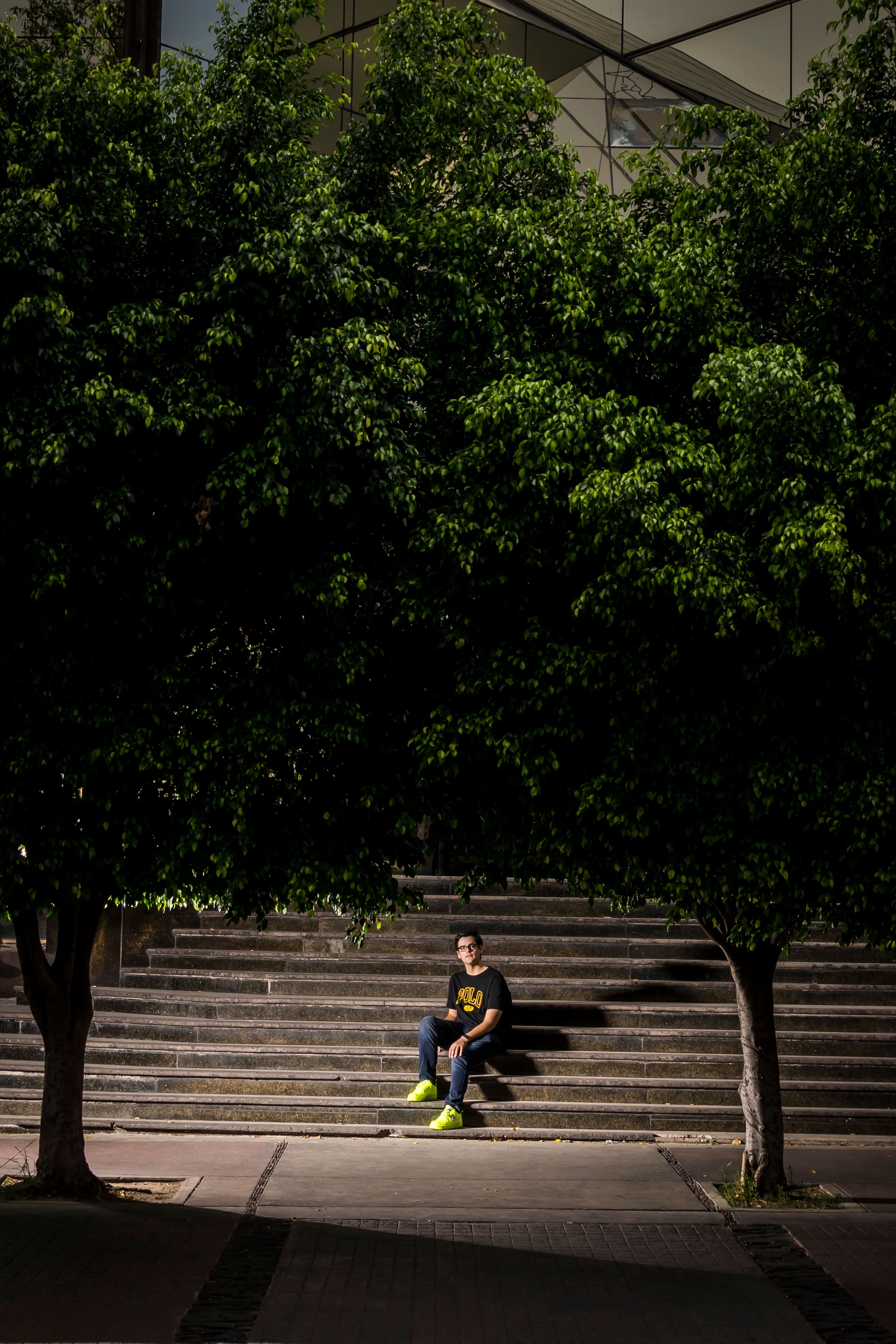 Man sitting on a Staircase between Trees · Free Stock Photo