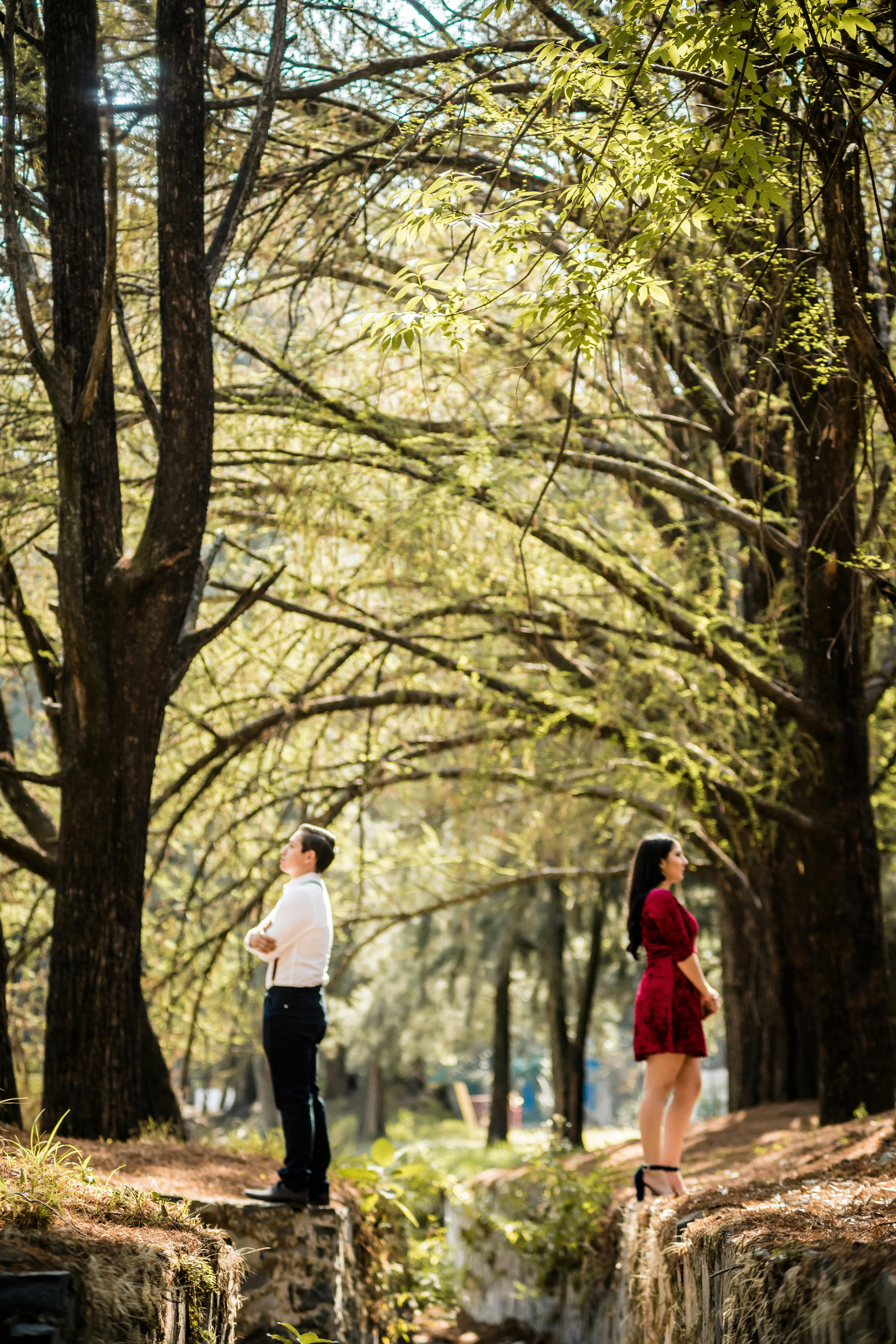 Romantic Couple Standing between Trees · Free Stock Photo